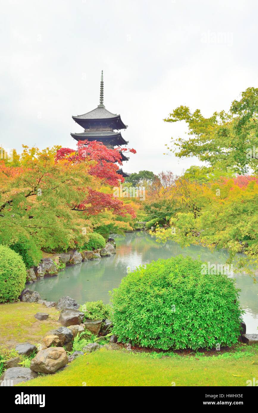 Five storied pagoda and autumn leaves at Toji temple in Kyoto, Japan ...