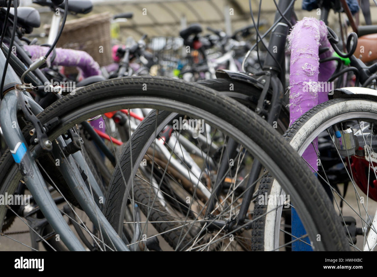 Mutton bars hi-res stock photography and images - Alamy