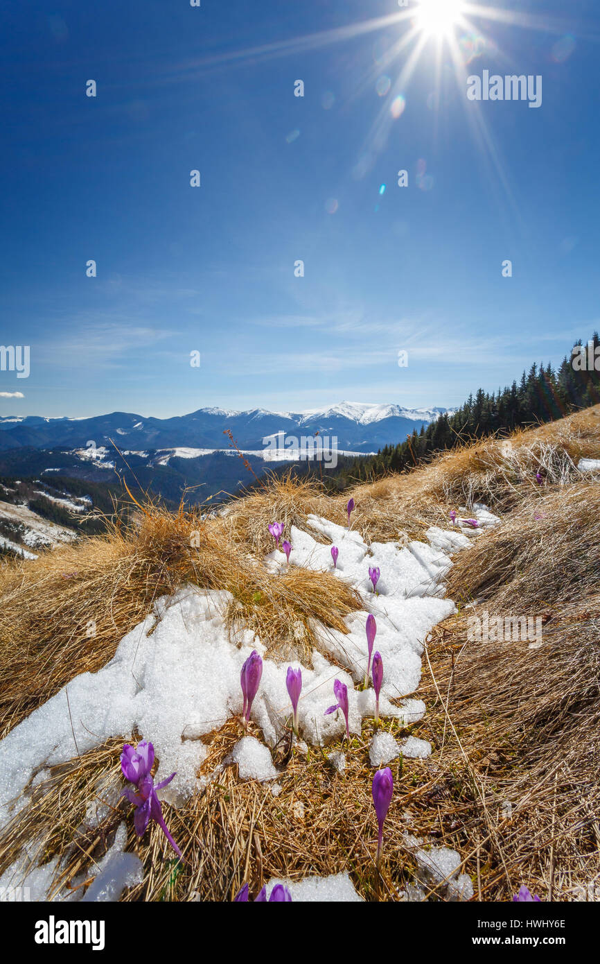 Purple mountain mountains hi-res stock photography and images - Alamy
