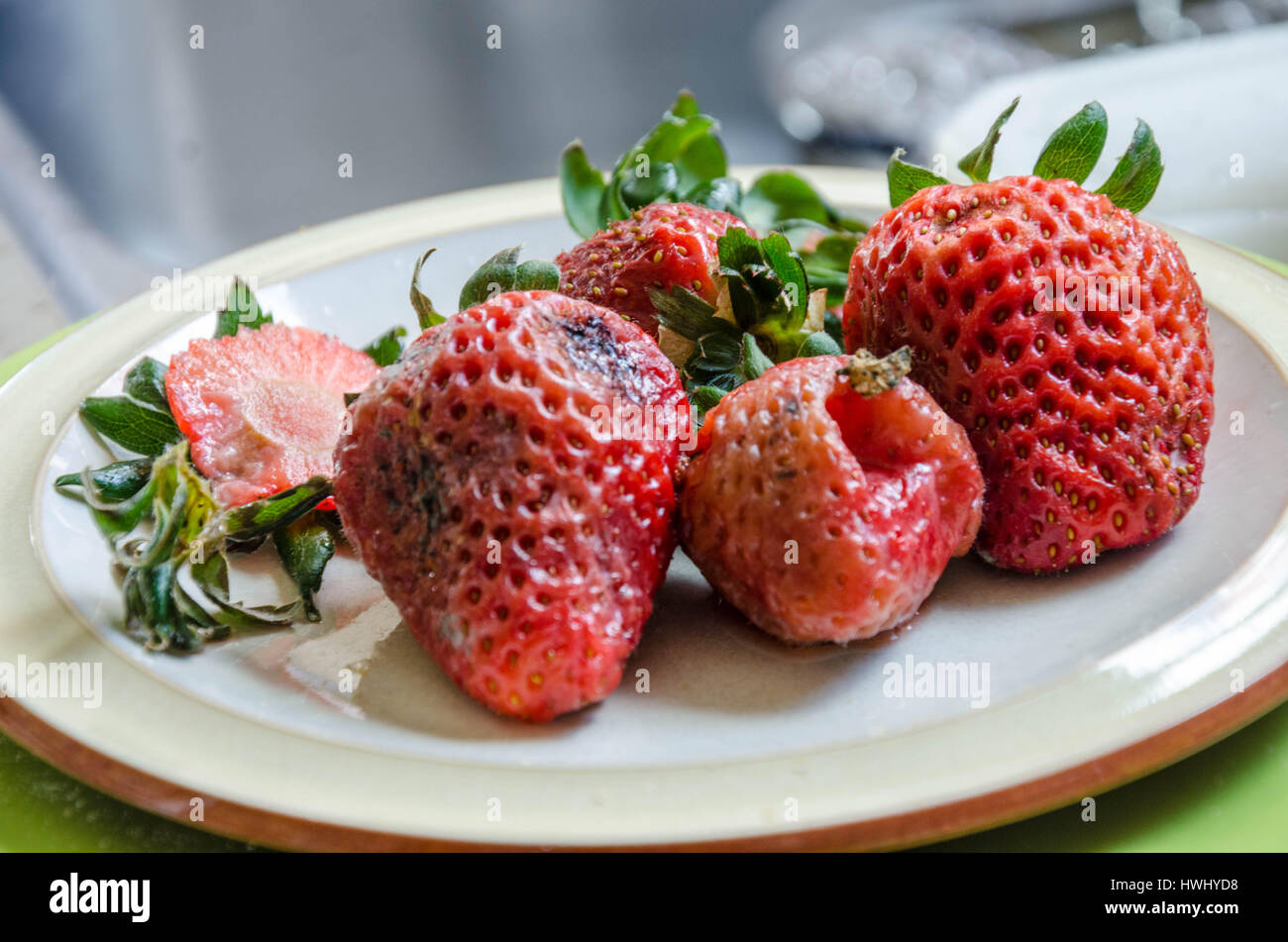 Rotten strawberry hi-res stock photography and images - Alamy