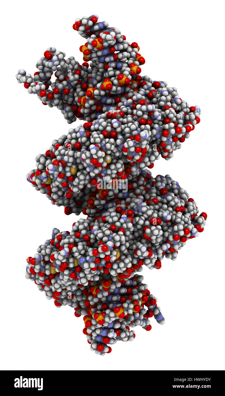 TAL (transcription activator like) effector protein or TALE. DNA ...