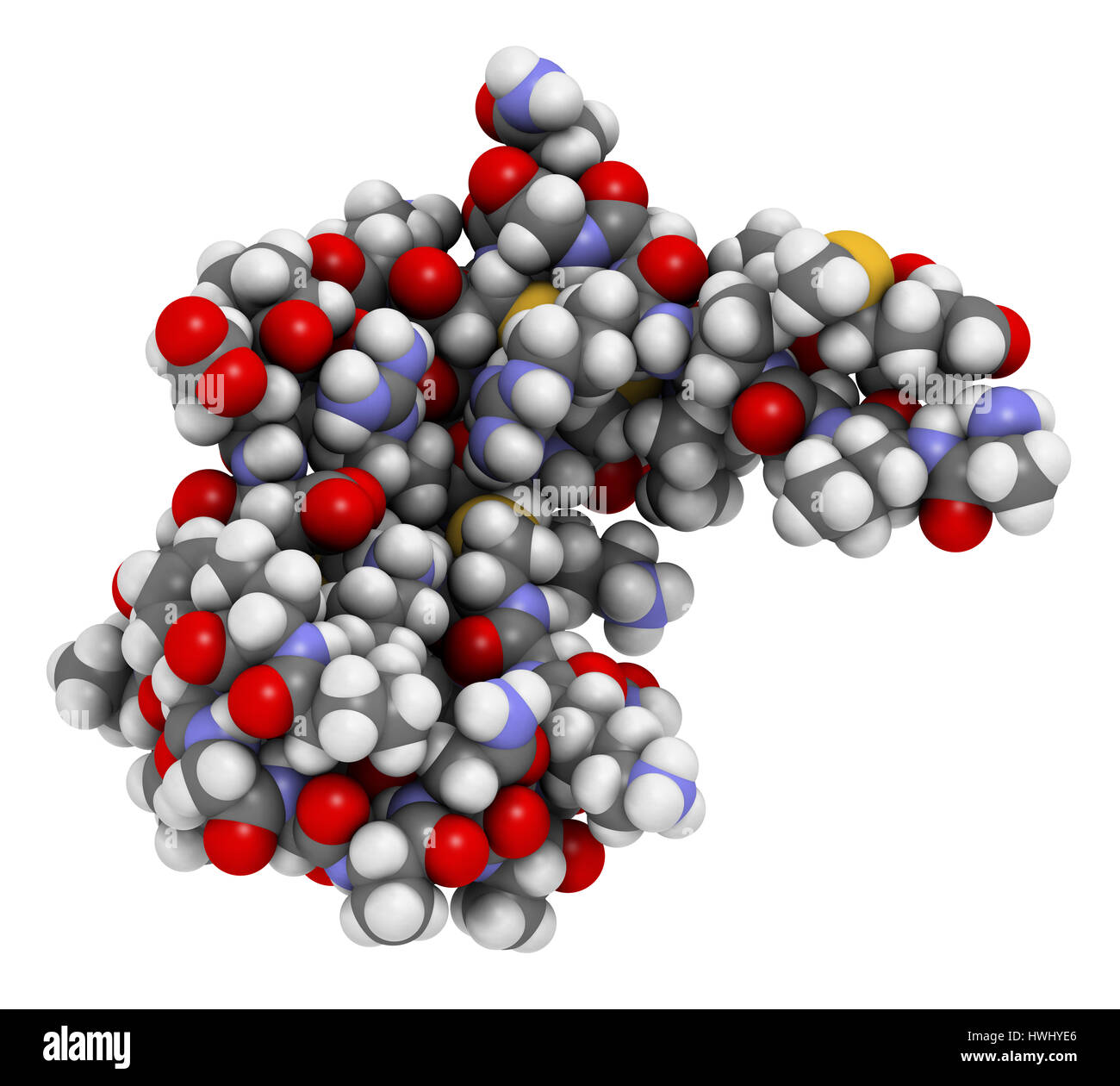 Dna binding domains hi-res stock photography and images - Alamy