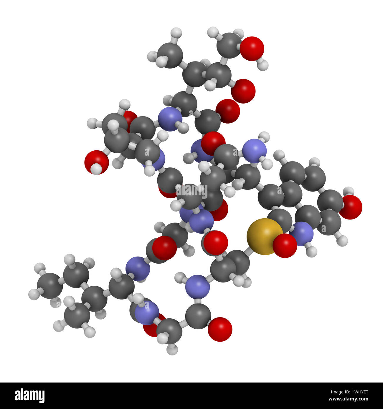 Amanita phalloides Cut Out Stock Images & Pictures - Alamy