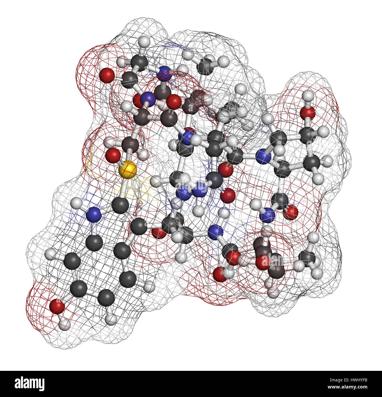 Alpha-amanitin death cap toxin molecule. Present in many Amanita ...