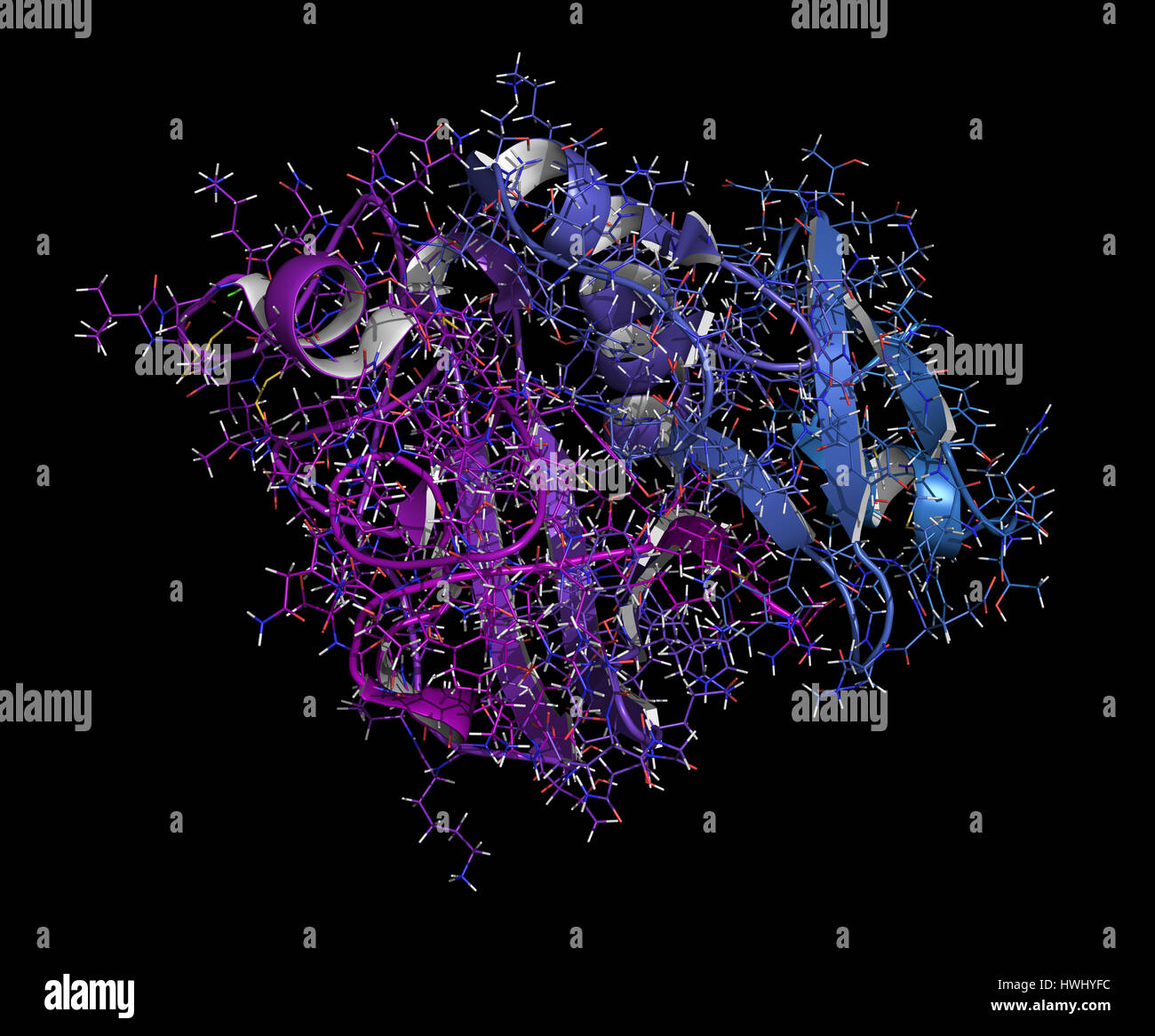 Angiopoietin 2 vascular growth factor protein (receptor binding domain ...