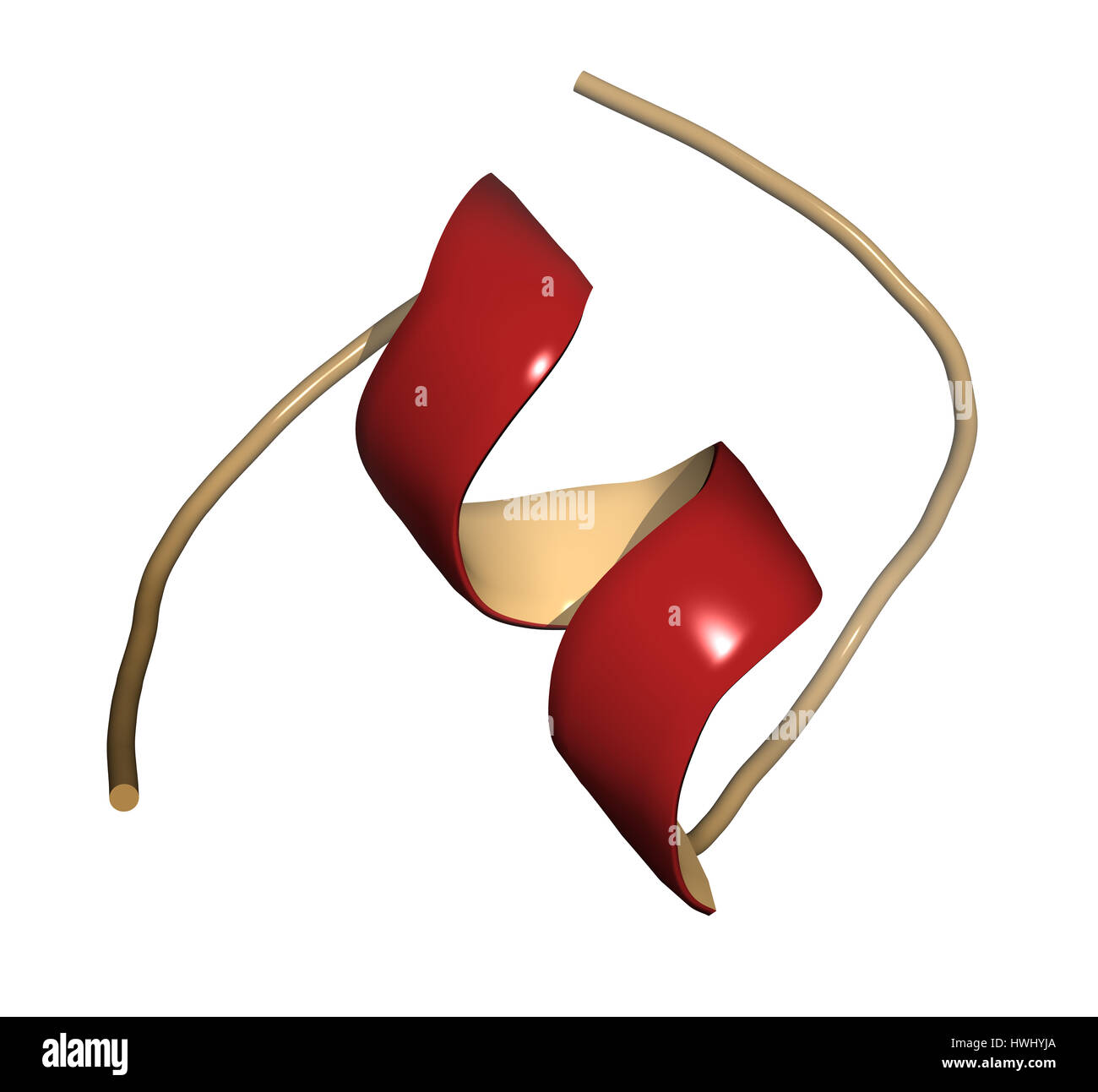 Endothelin 1 Et 1 Vasoconstrictory Peptide Molecule Cartoon Representation With Secondary