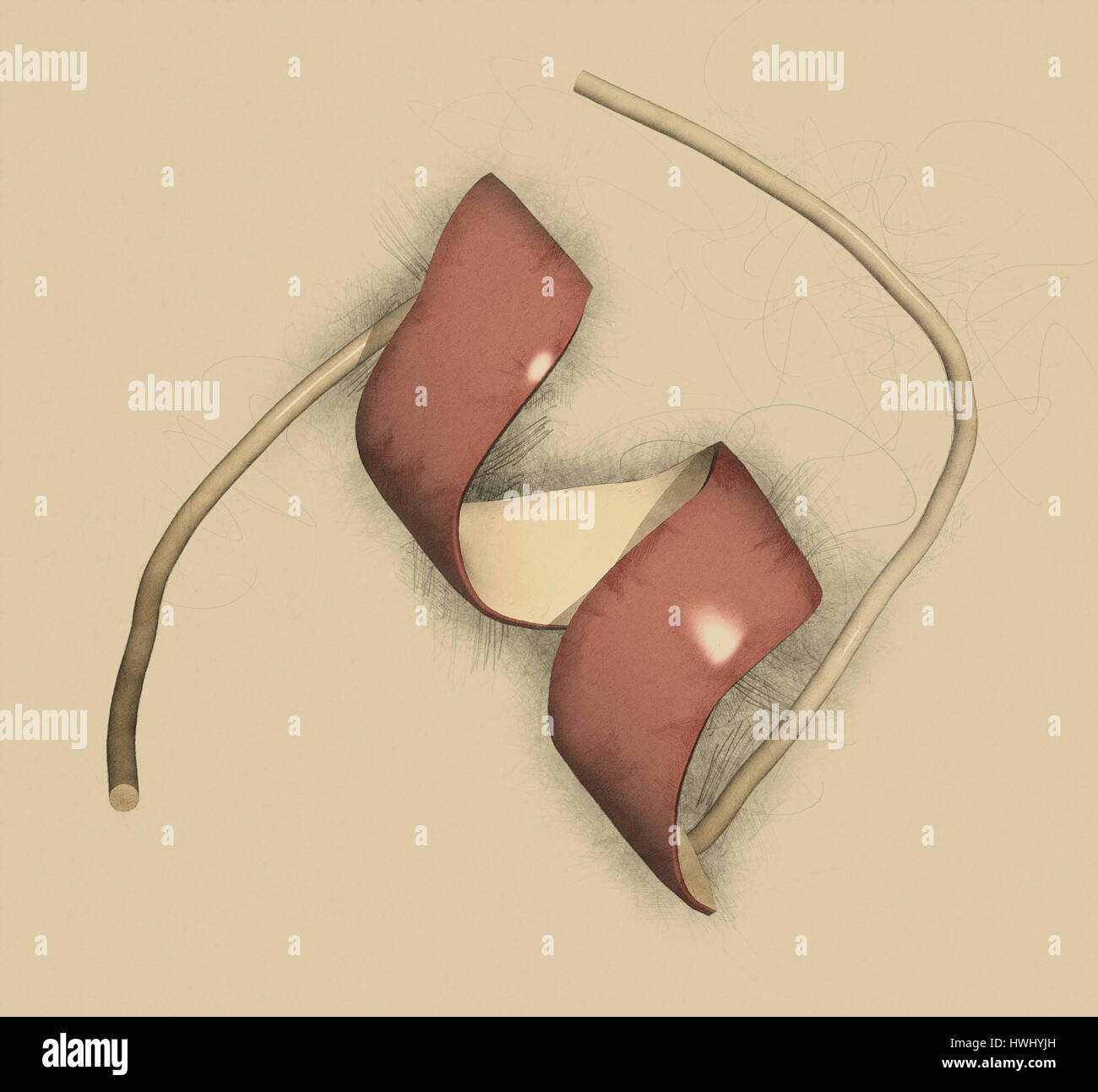 Endothelin 1 Et 1 Vasoconstrictory Peptide Molecule Cartoon Representation With Secondary