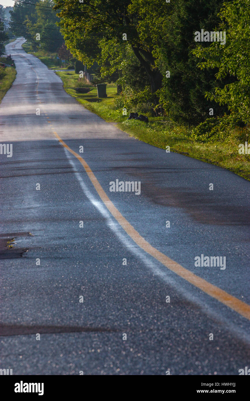 White lanes hi-res stock photography and images - Alamy