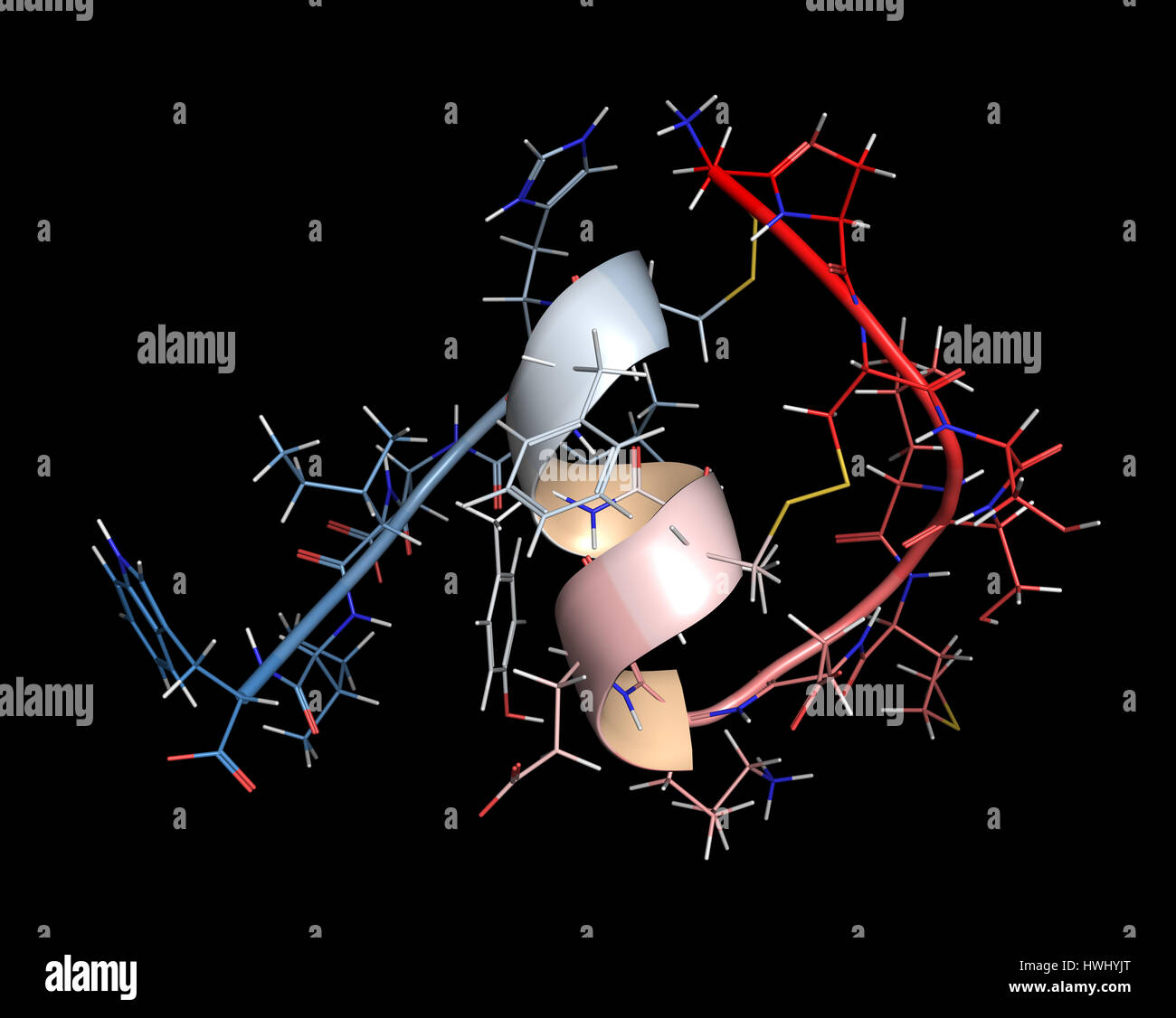 Endothelin 1 Et 1 Vasoconstrictory Peptide Molecule Cartoon And Stick Representation With