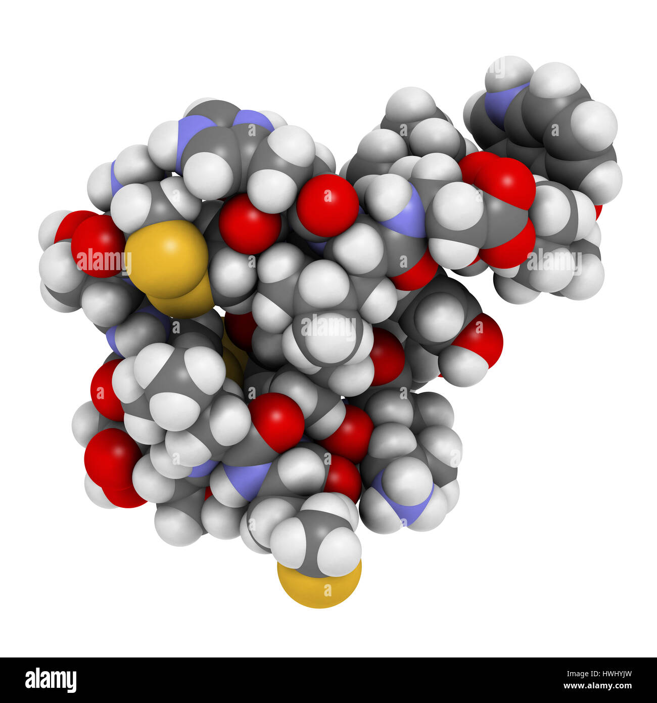 Endothelin 1 Et 1 Vasoconstrictory Peptide Molecule Atoms Are Represented As Spheres With