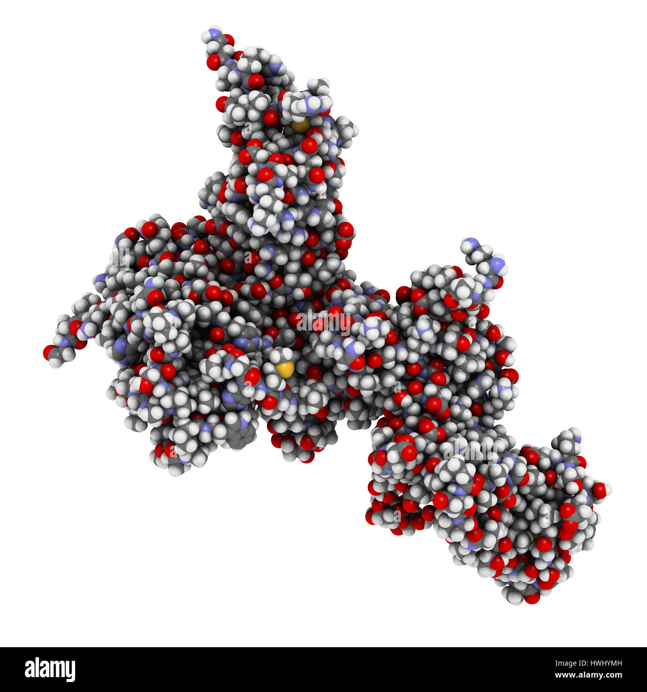 Protein molecule hi-res stock photography and images - Alamy