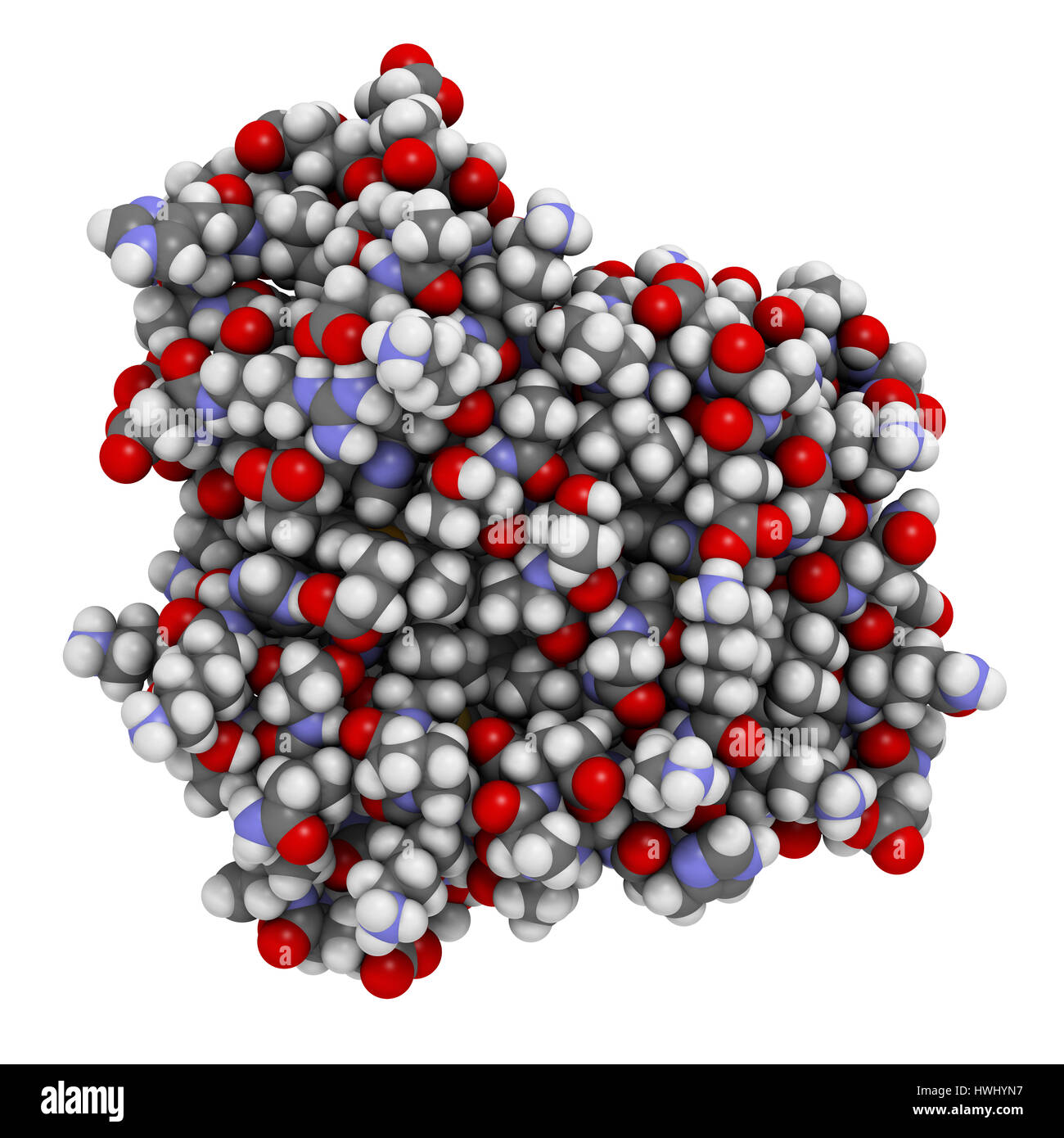 Globin hi-res stock photography and images - Alamy