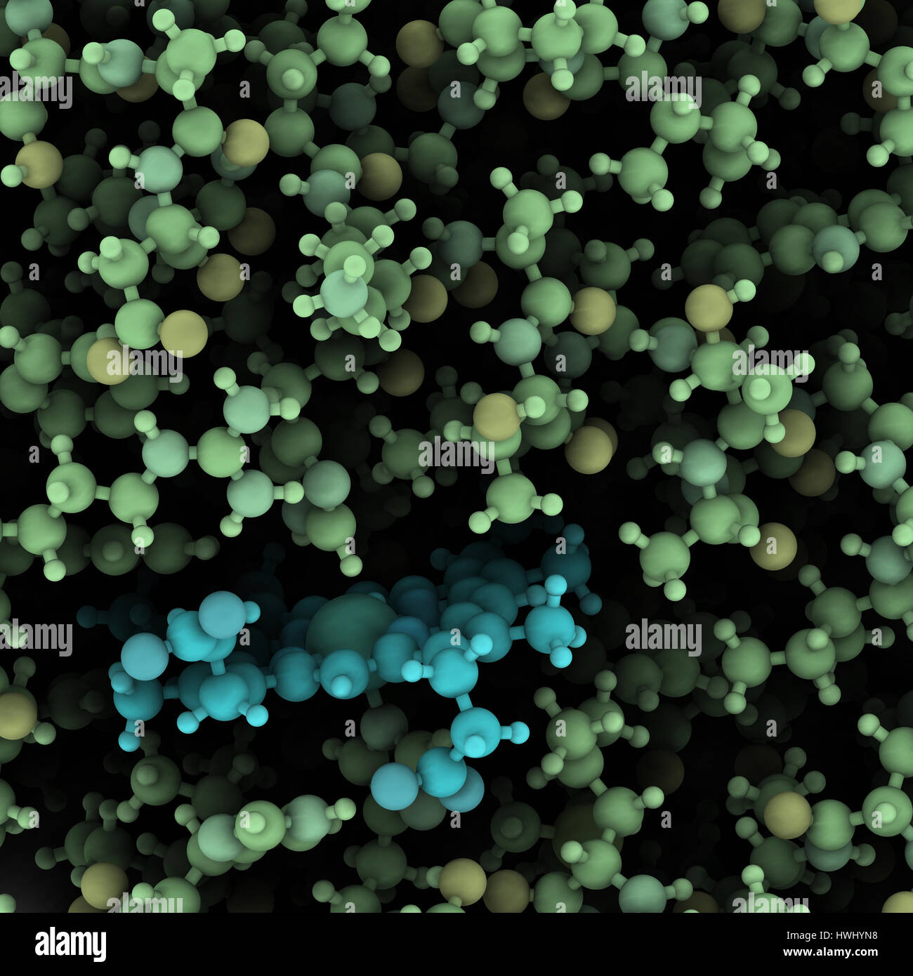 Myoglobin muscle protein. Responsible for red color of meat. Presence ...