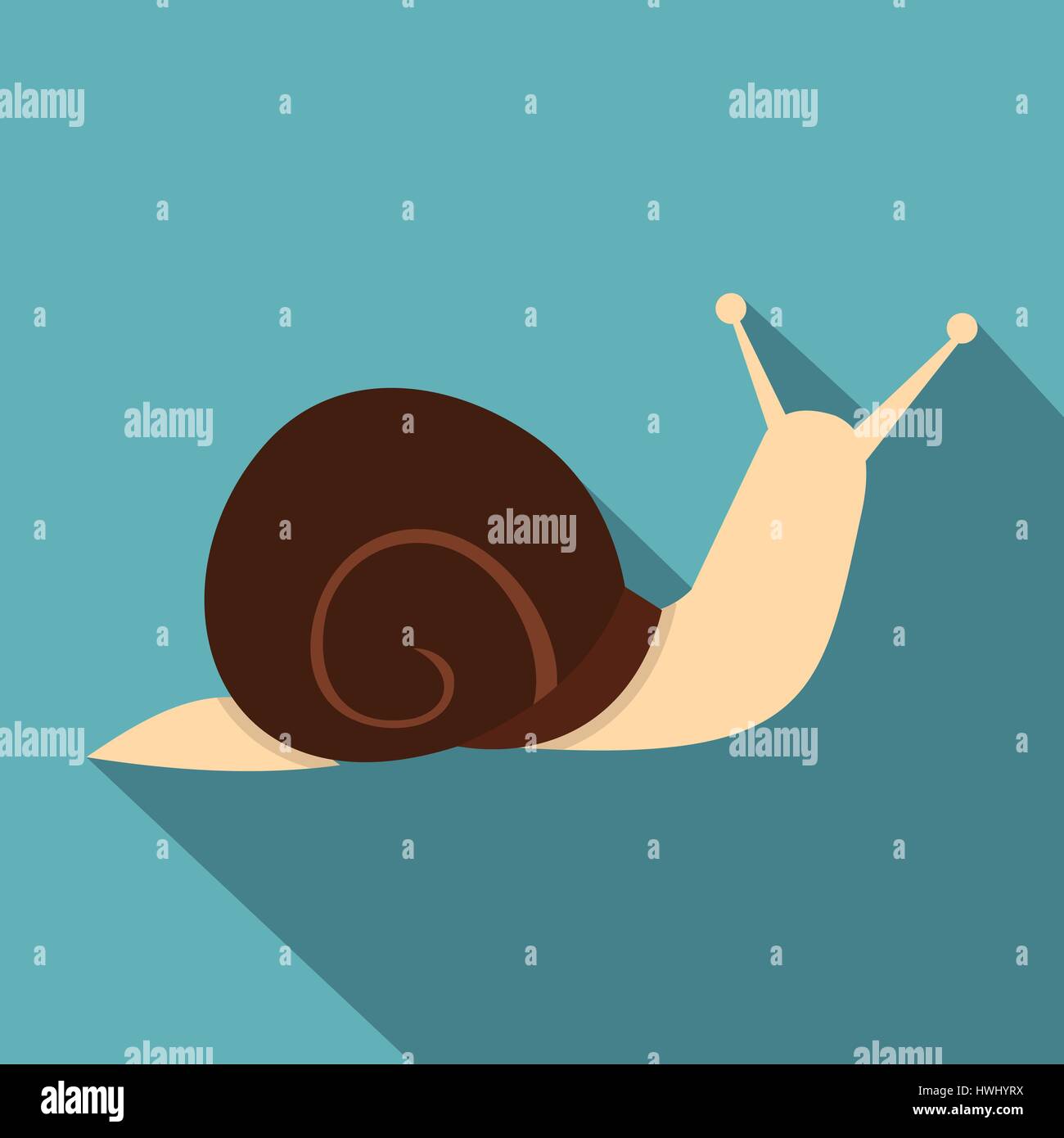 Snail icon, flat style Stock Vector Image & Art - Alamy