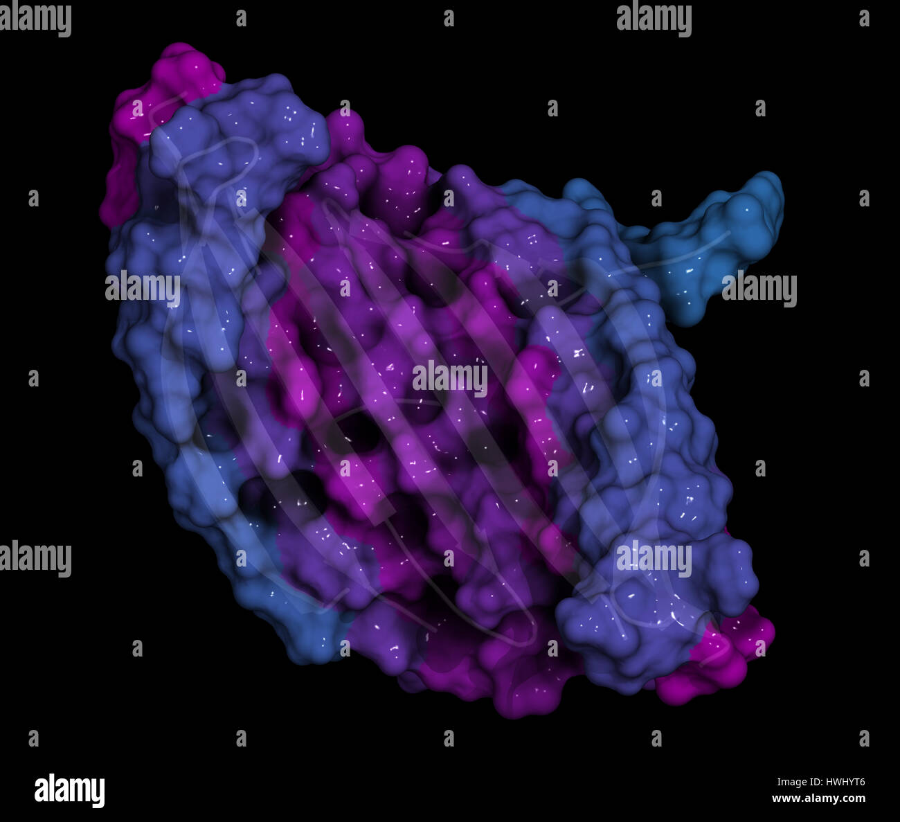 Fibroin structure hi-res stock photography and images - Alamy