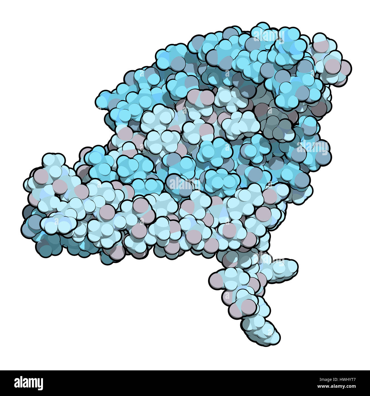 Fibroin structure hi-res stock photography and images - Alamy