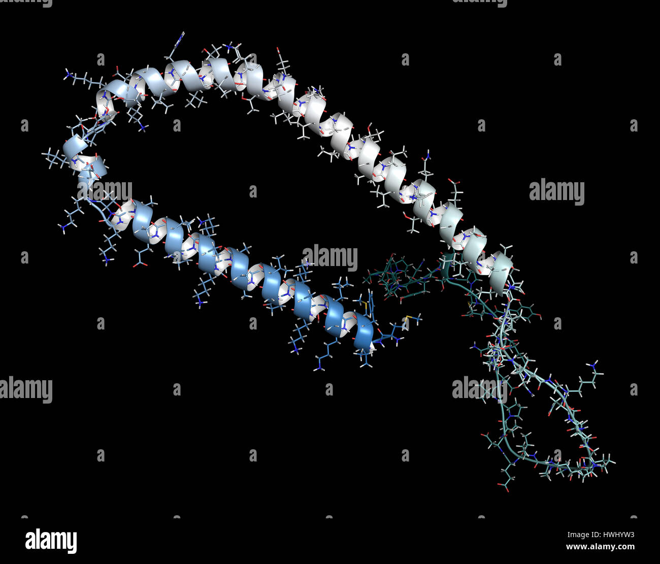 Alpha synuclein hi-res stock photography and images - Alamy