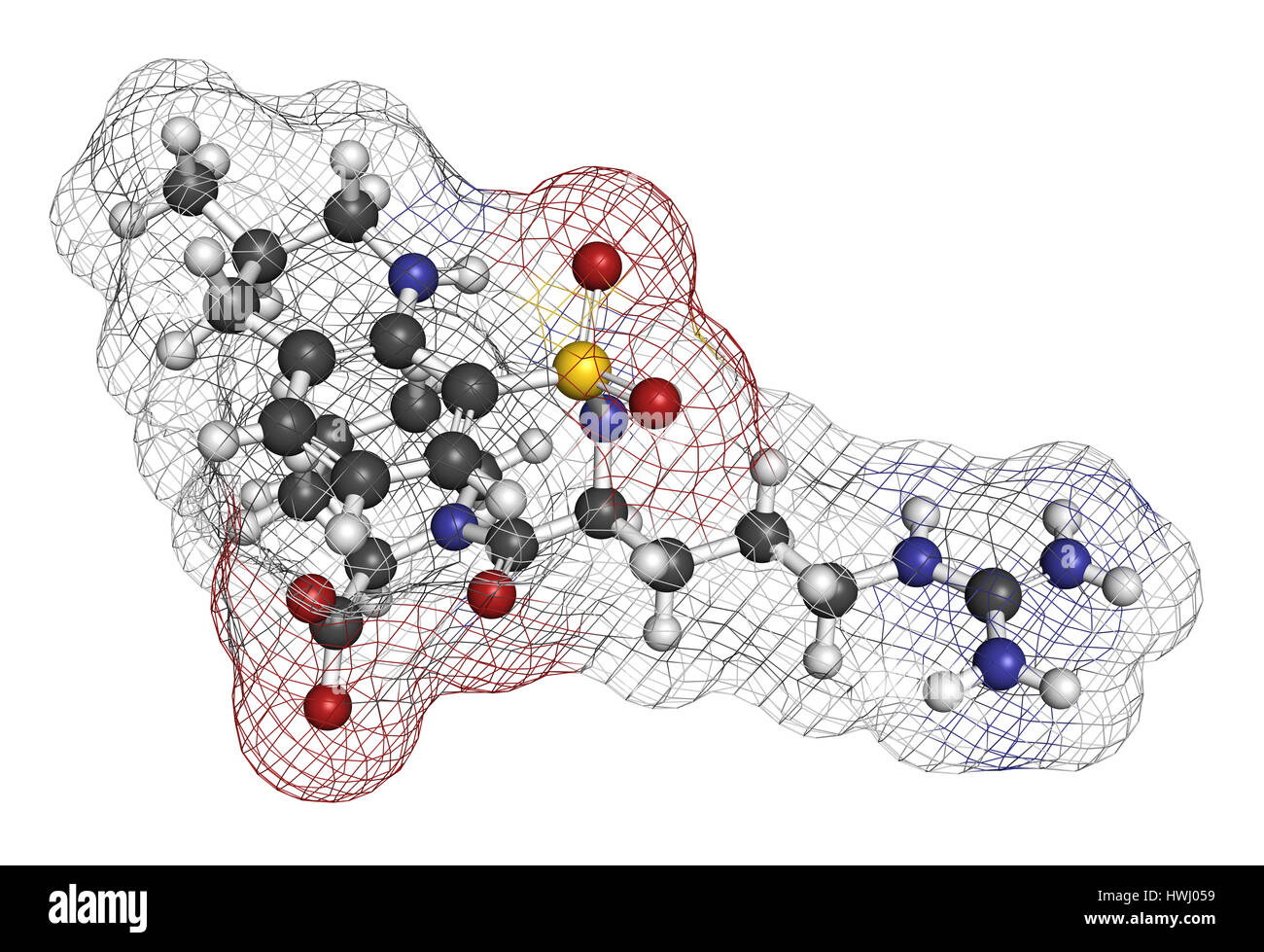 Argatroban anticoagulant drug molecule (direct thrombin inhibitor). 3D ...
