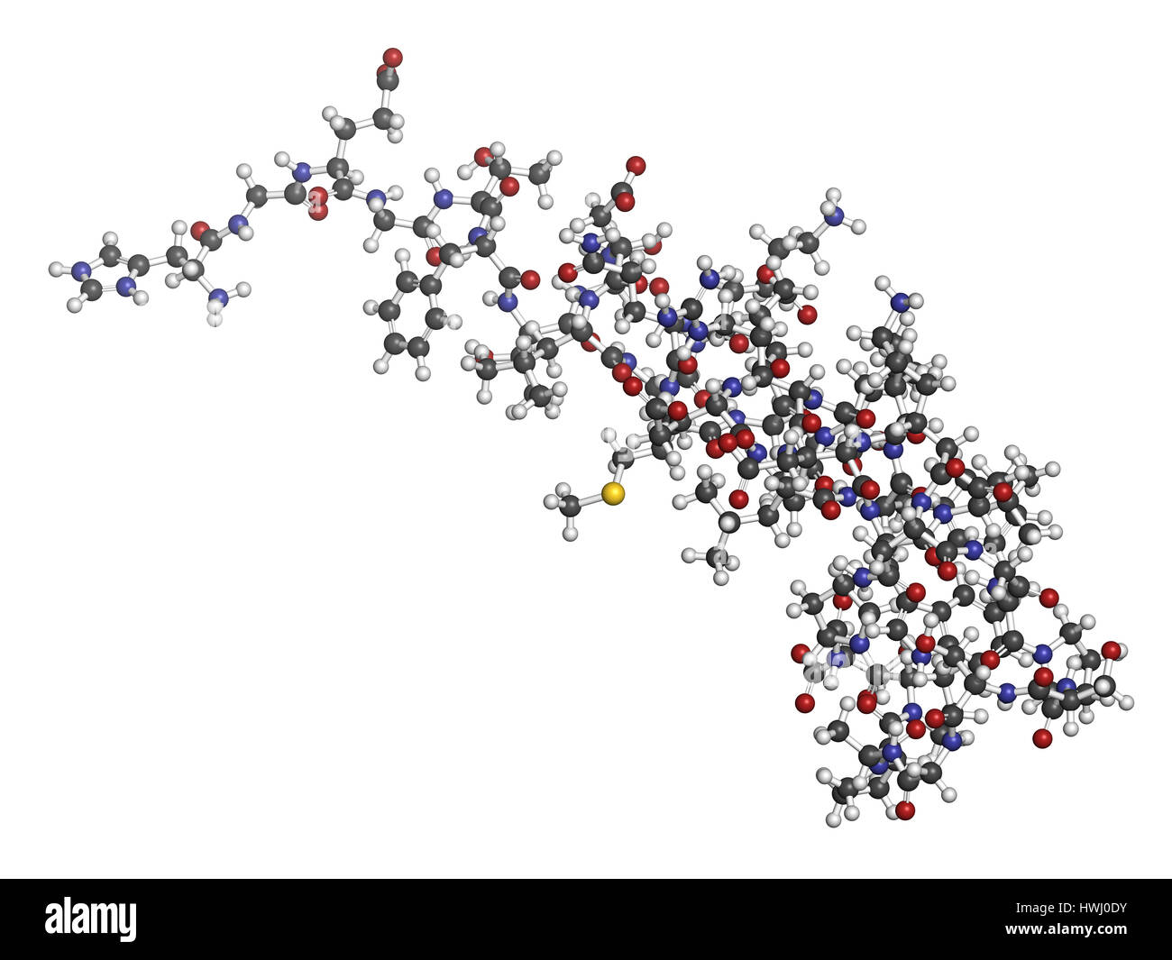 Exenatide diabetes drug molecule. 3D rendering. Atoms are represented ...