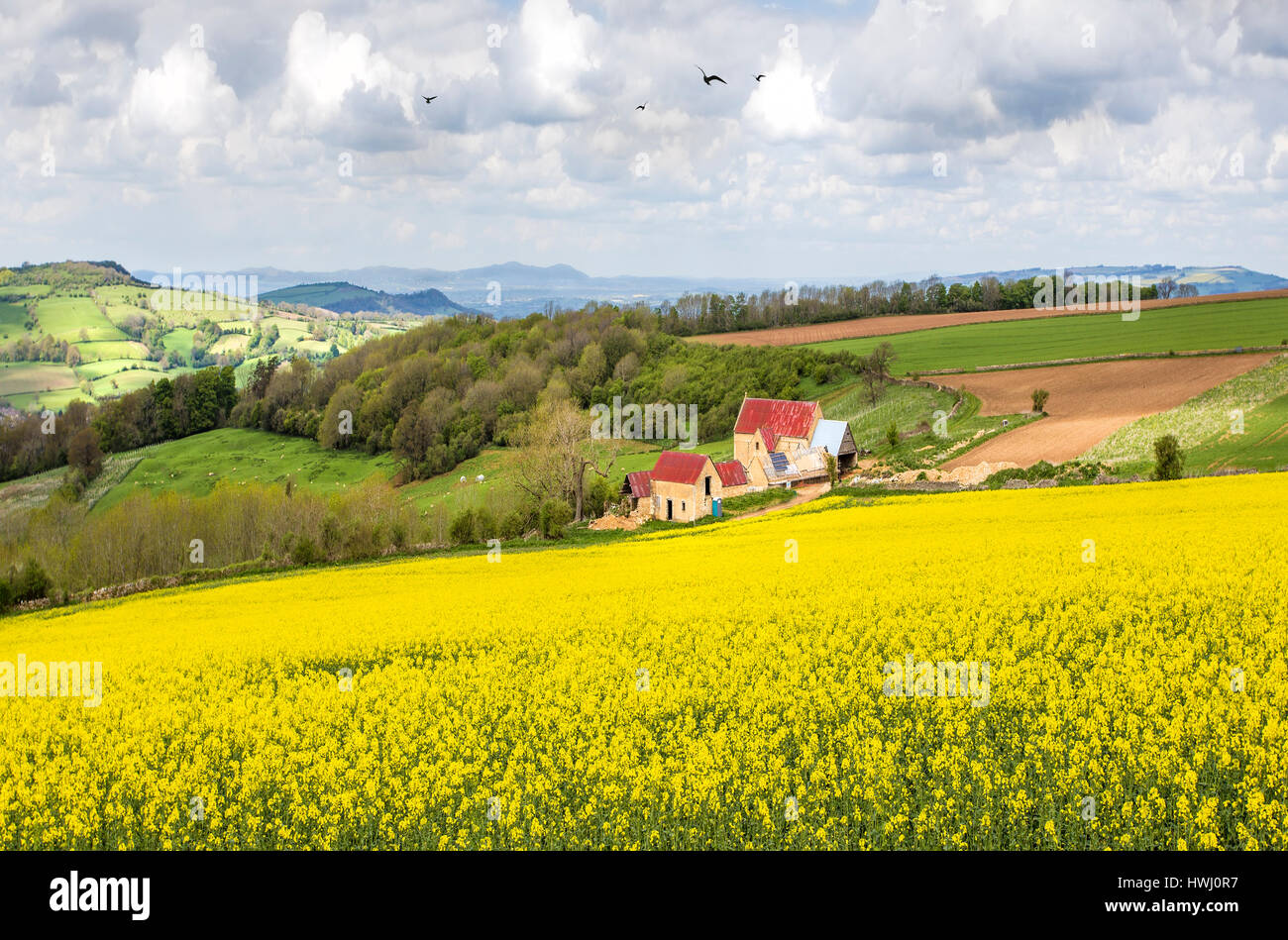 Rural scene in England Stock Photo - Alamy