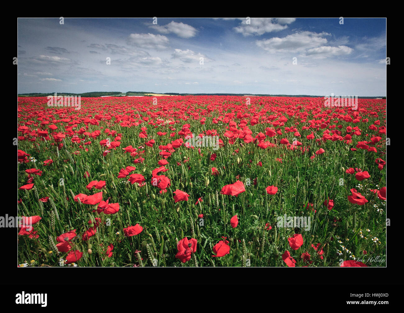 Black border hi-res stock photography and images - Alamy
