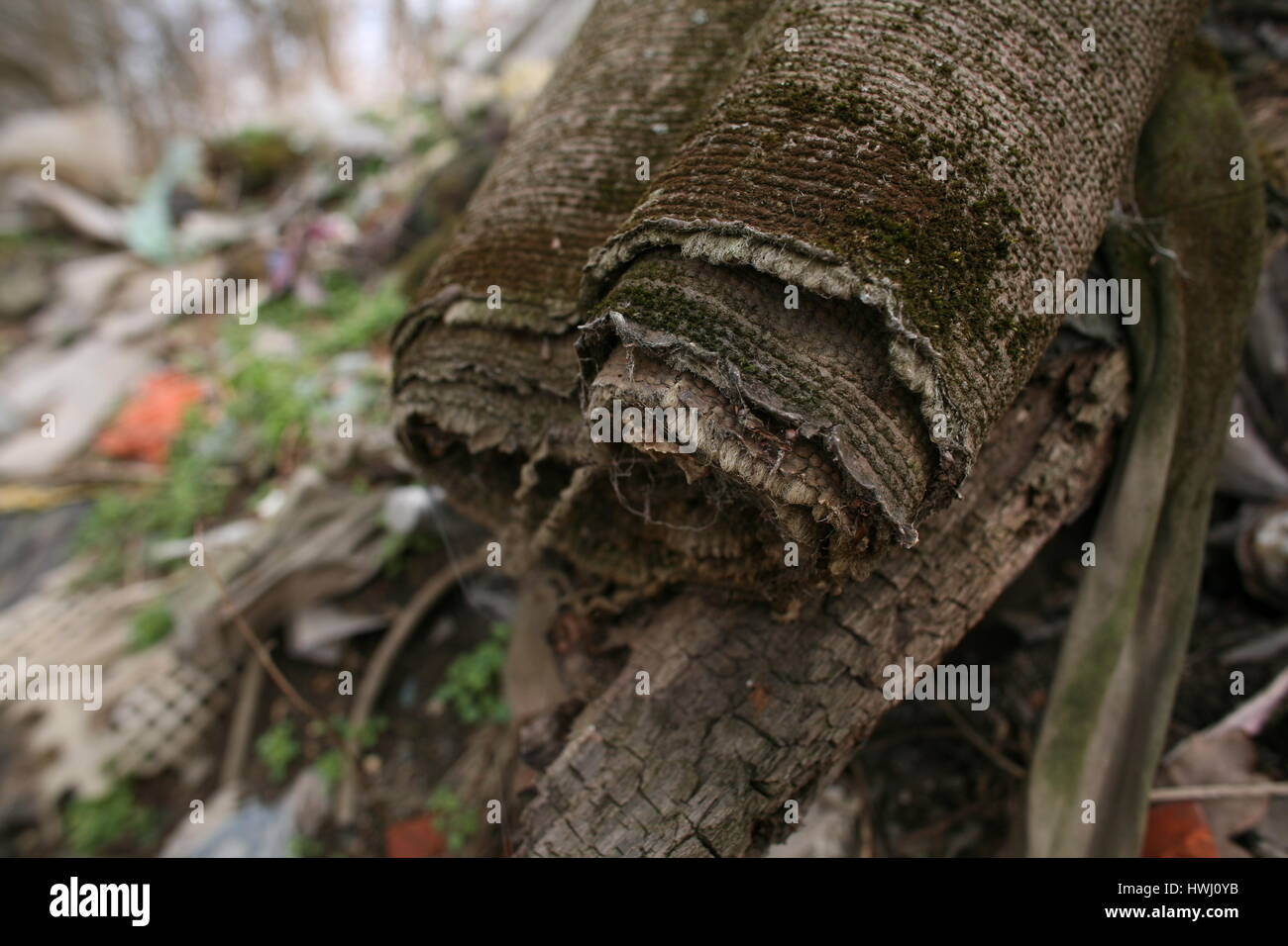 Muddy stinky hi-res stock photography and images - Alamy