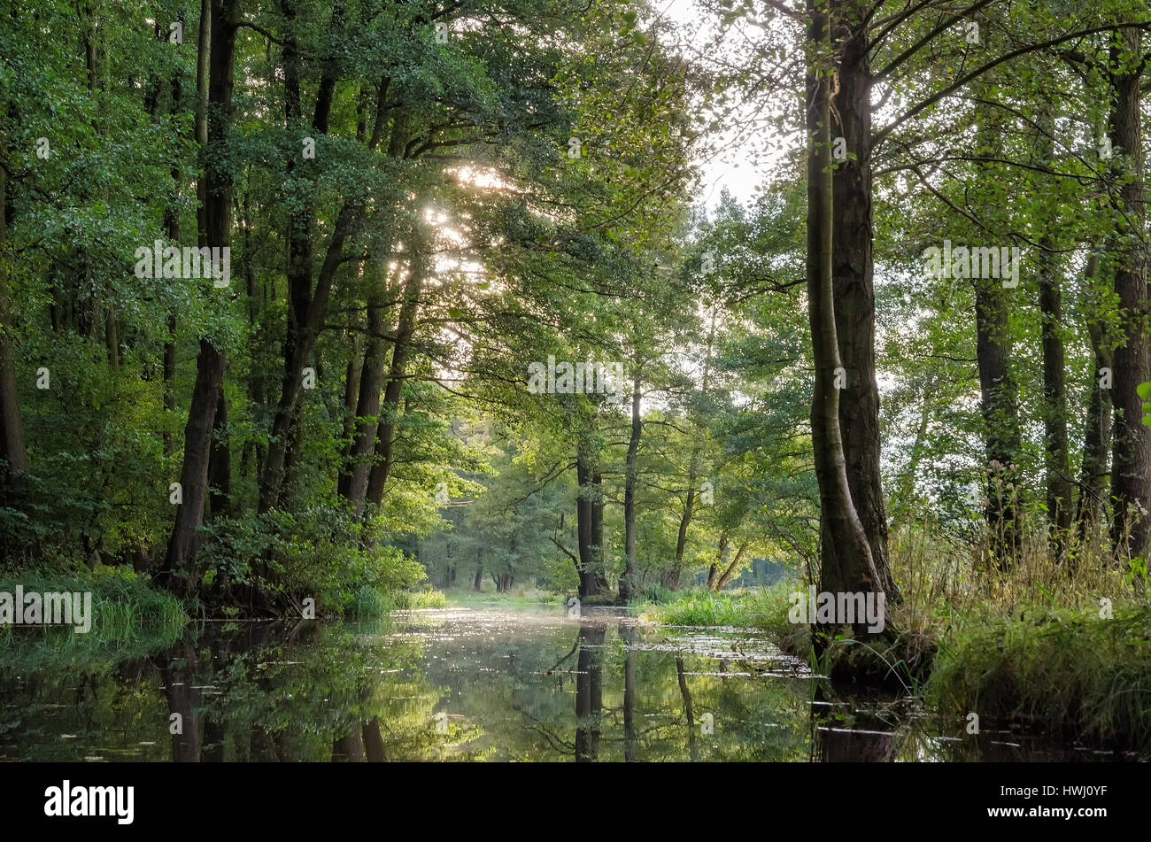 Spreewald hi-res stock photography and images - Alamy