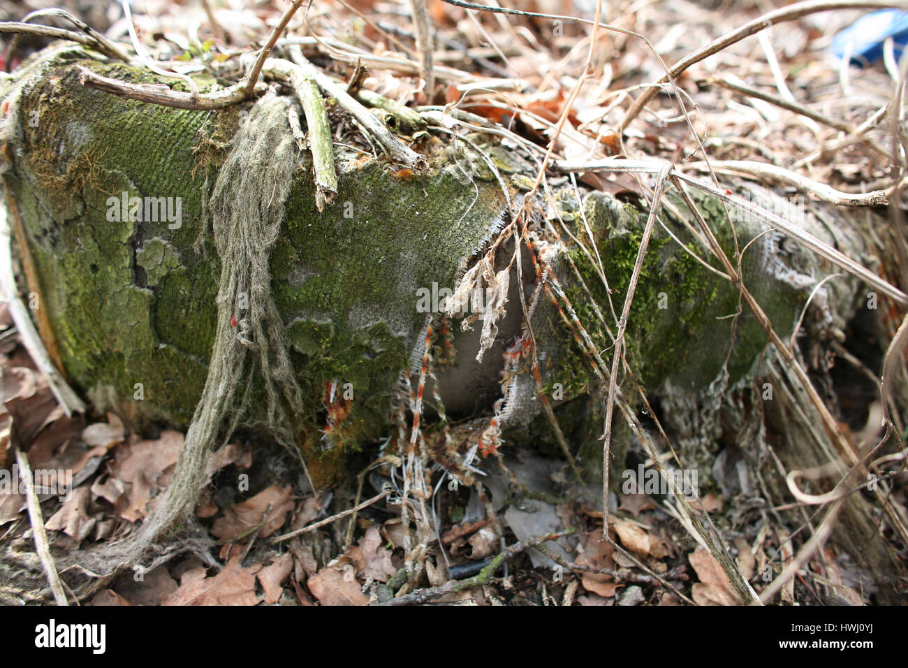Stinky landfill hi-res stock photography and images - Alamy