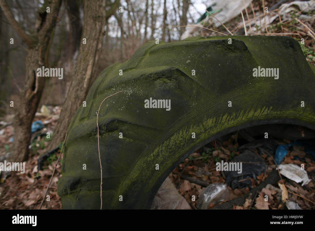 Stinky disposal site hi-res stock photography and images - Alamy