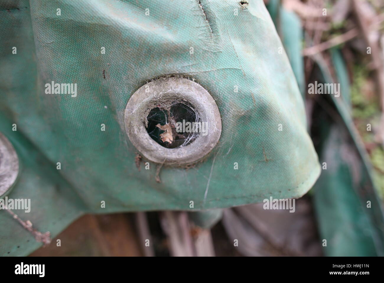 Stinky disposal site hi-res stock photography and images - Alamy