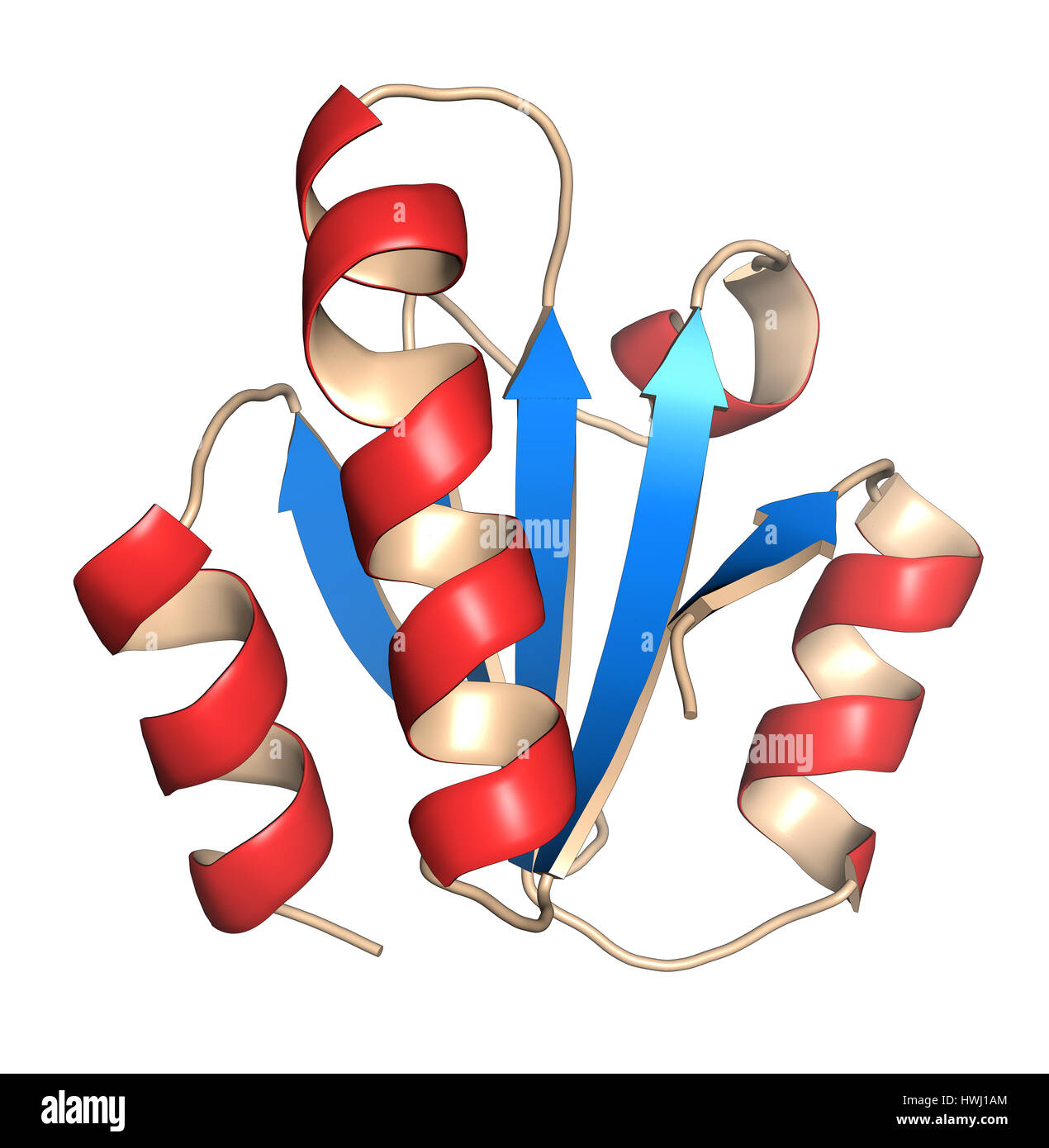 Oxidoreductase enzyme Cut Out Stock Images & Pictures - Alamy