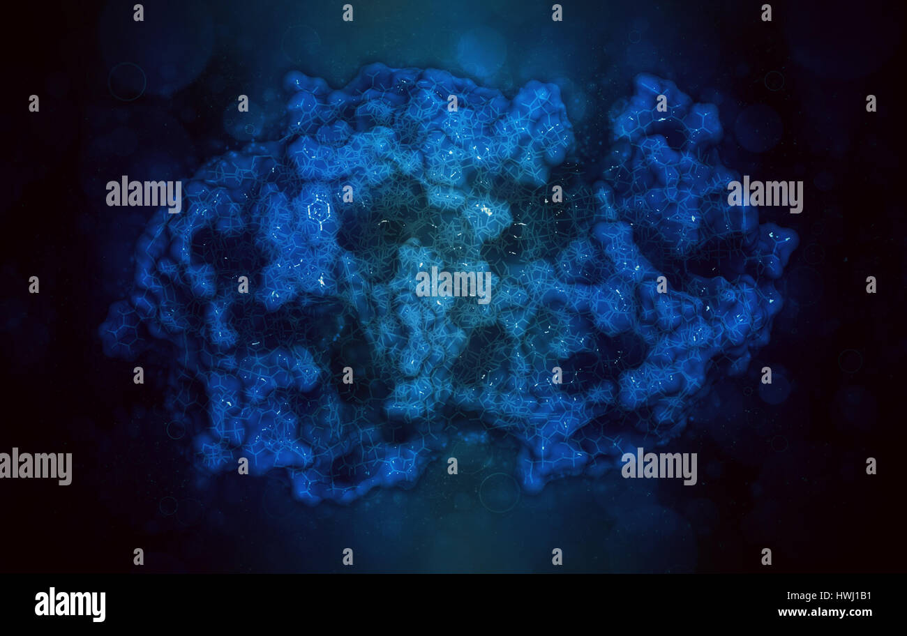 Amylase (human pancreatic alpha-amylase) Protein. Digestive enzyme ...