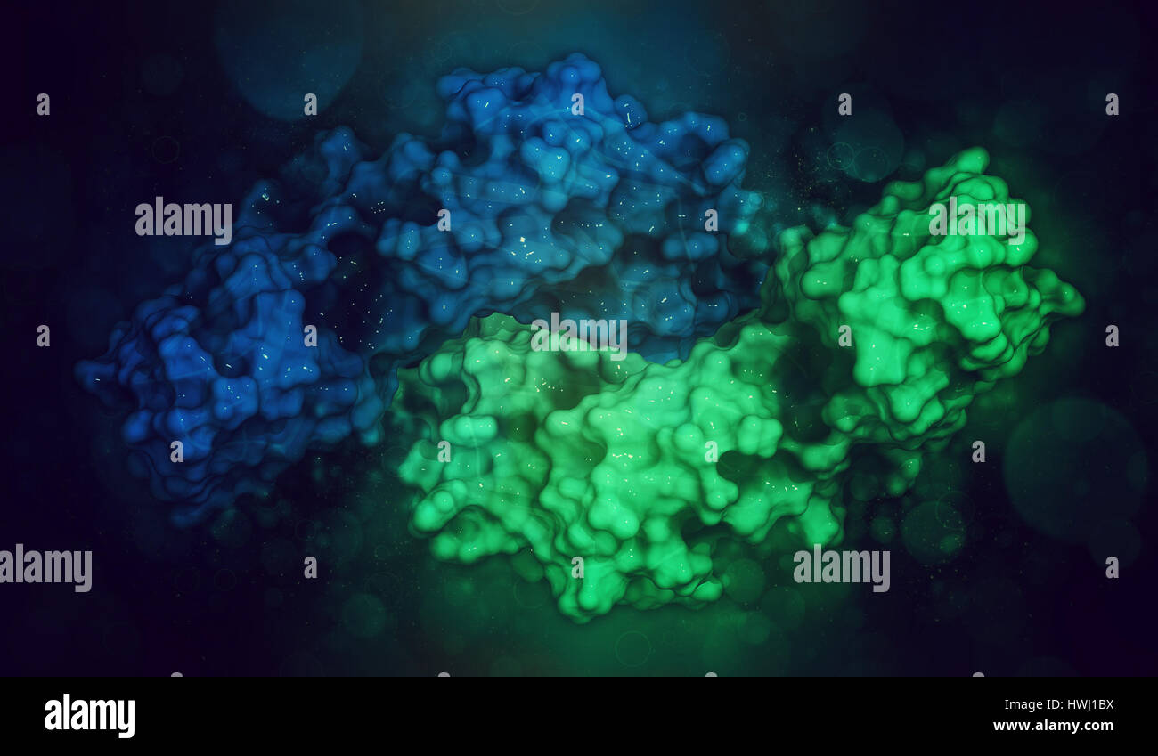 Cd4 helper cells hi-res stock photography and images - Alamy