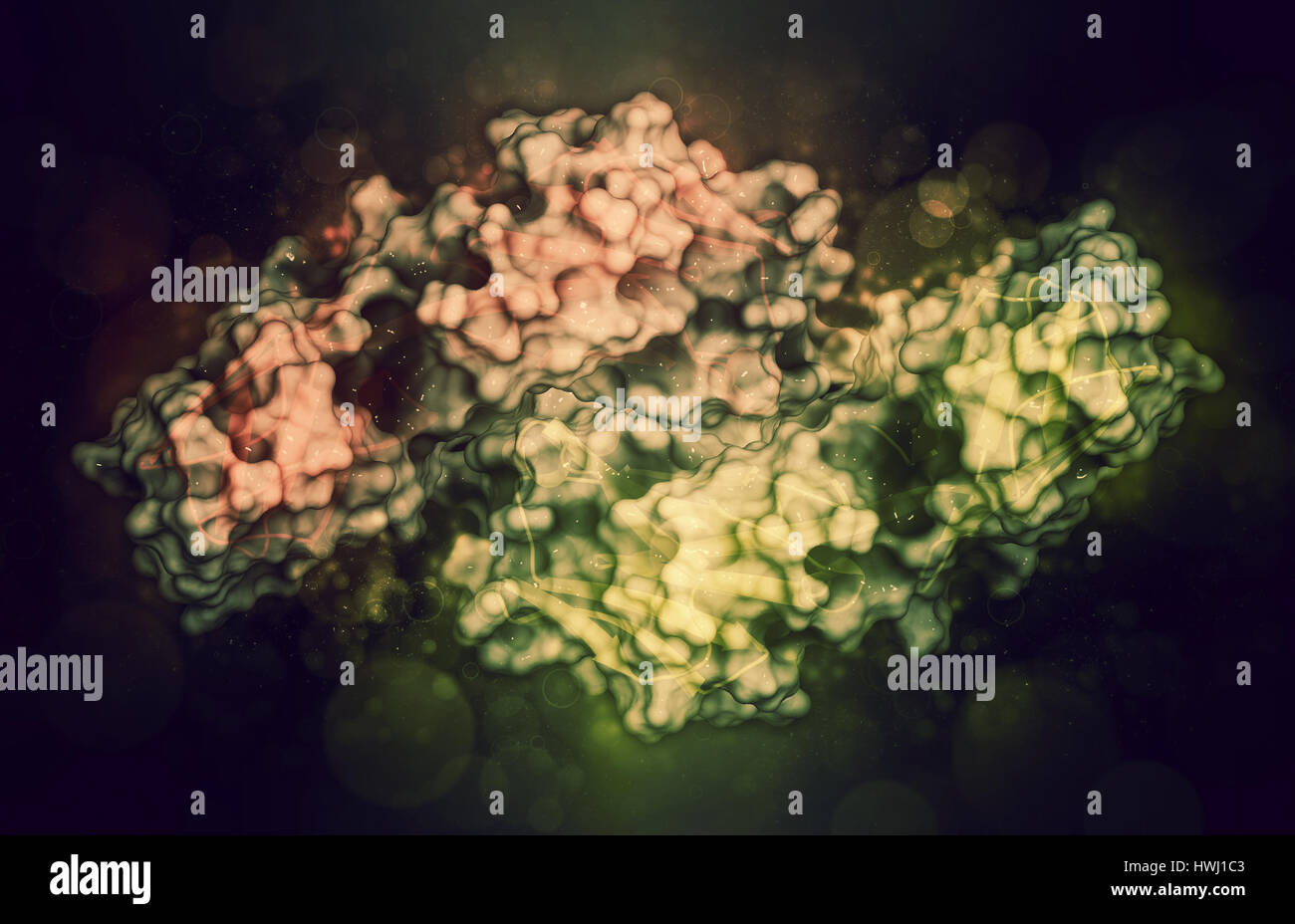 Cd4 t cells hi-res stock photography and images - Alamy