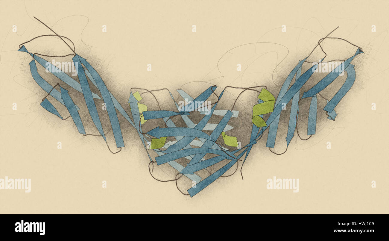 Cartoon illustration white blood cell hi-res stock photography and ...