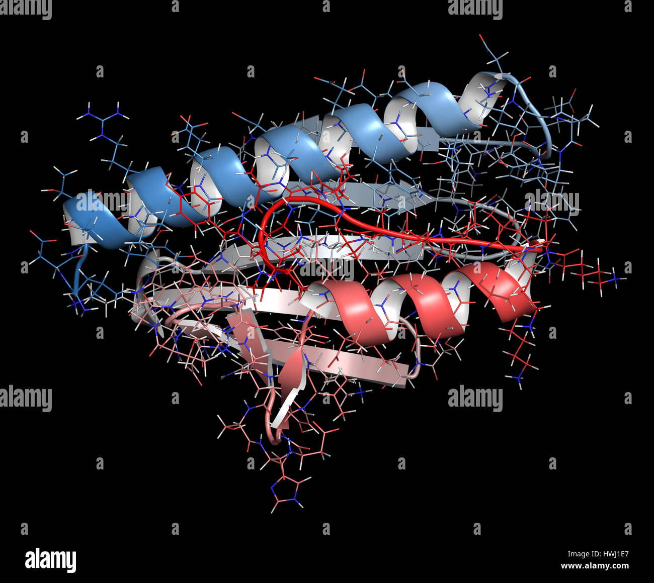 Frataxin (human) mitochondrial protein. Reduced expression causes ...