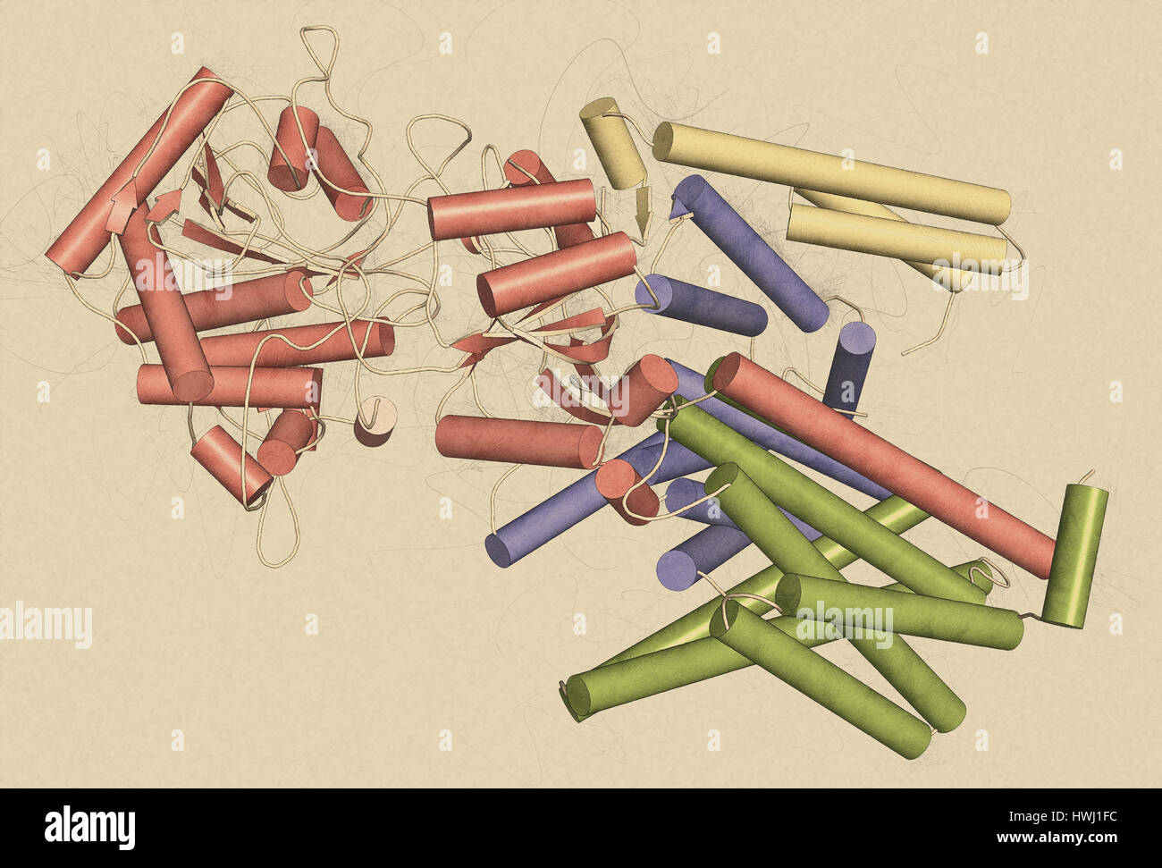 Gamma secretase protein complex. Multi-subunit intramembrane protease ...