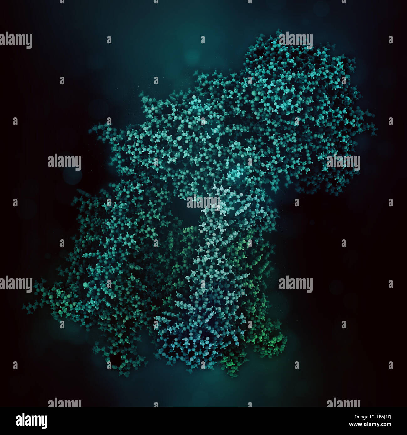Presenilin proteins hi-res stock photography and images - Alamy