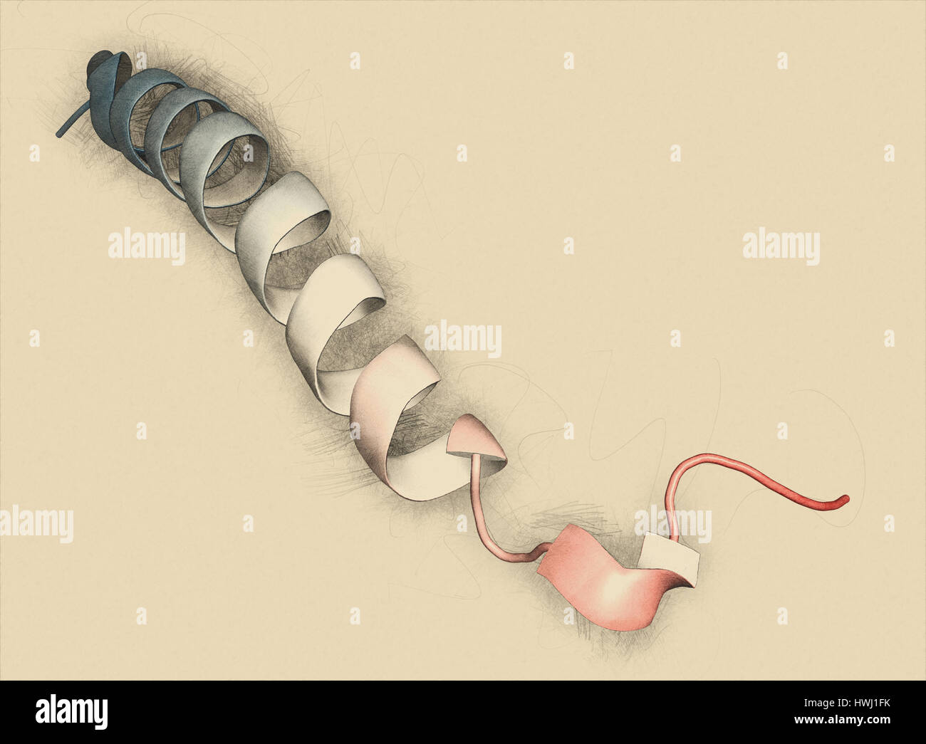Gastric inhibitory polypeptide (GIP, glucose-dependent insulinotropic ...