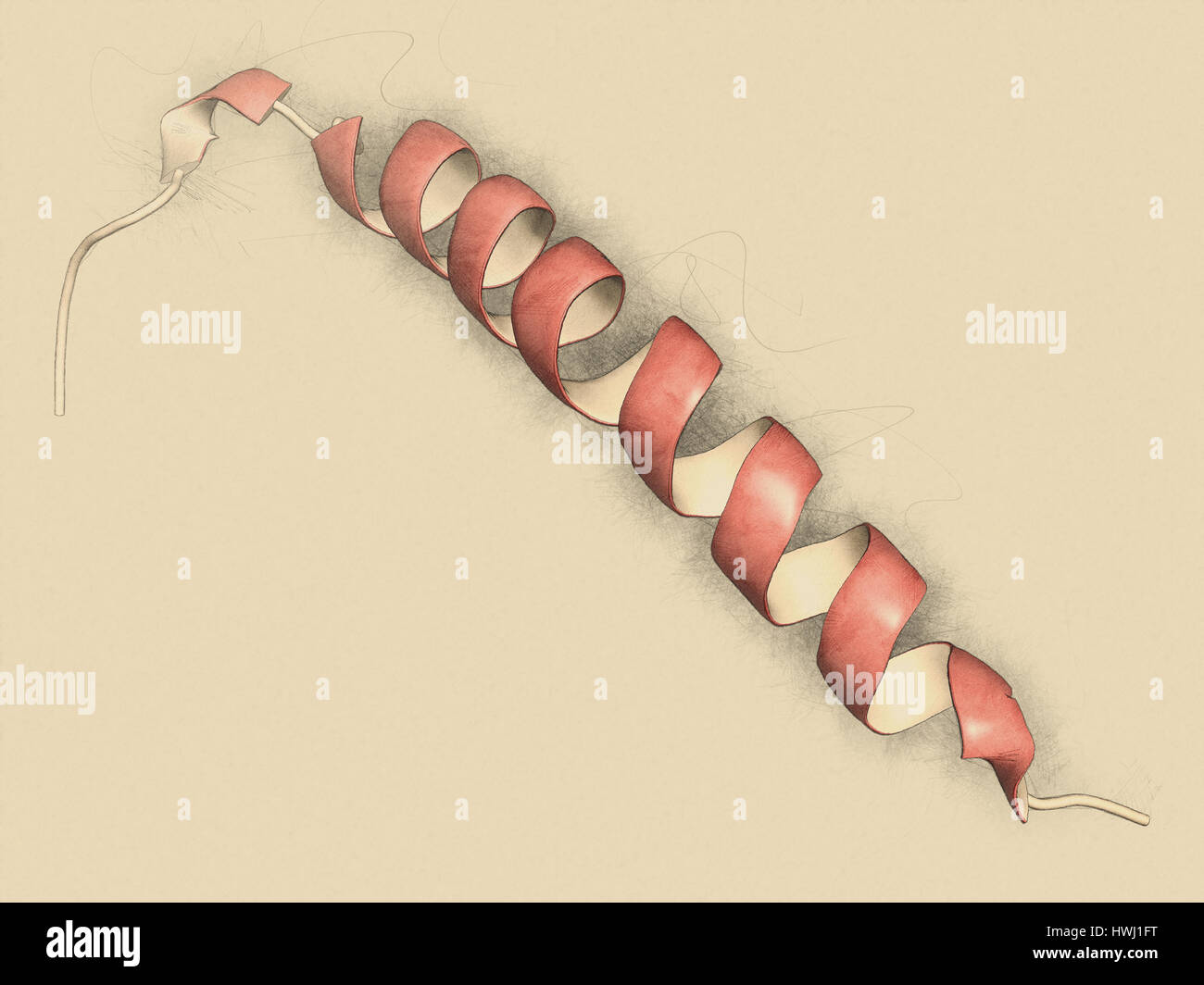 Gastric inhibitory polypeptide (GIP, glucose-dependent insulinotropic ...
