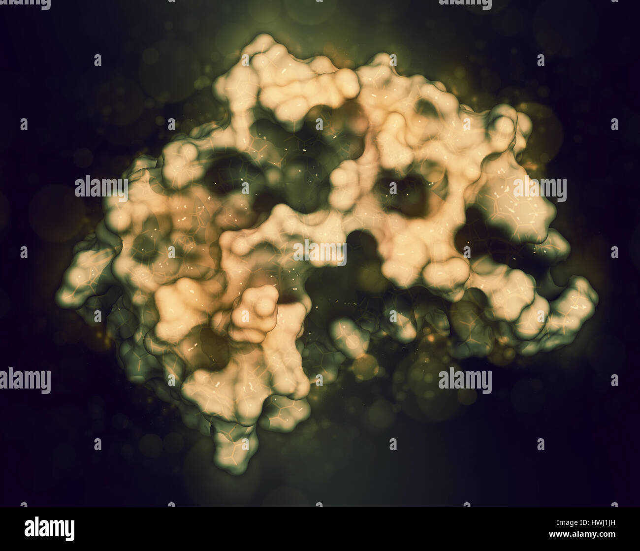 Interleukin 6 (IL-6) cytokine and myokine protein. Anti-IL-6 antibodies ...