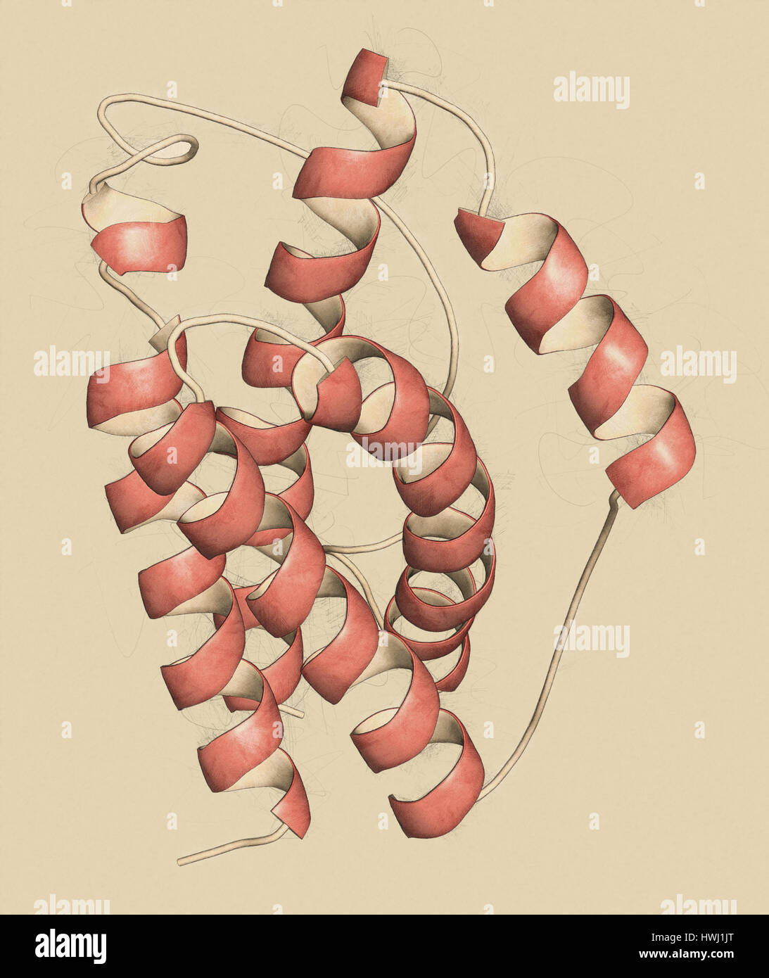 Macrophage cartoon hi-res stock photography and images - Alamy