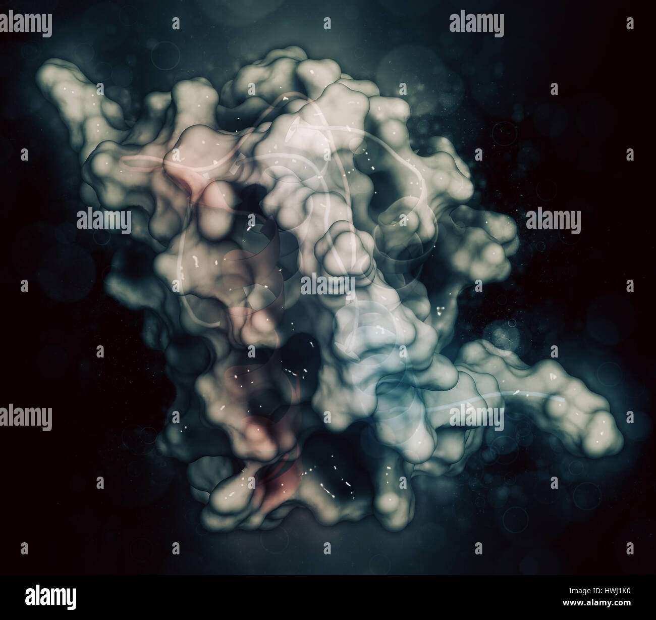 Interleukin 13 (IL-13) cytokine protein. 3D illustration. Cartoon ...