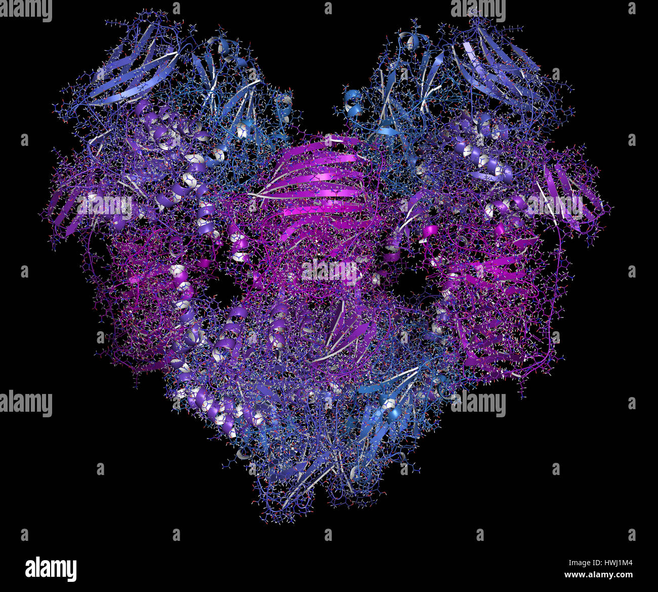Lactase (Kluyveromyces lactis beta-galactosidase) enzyme. Lactose ...