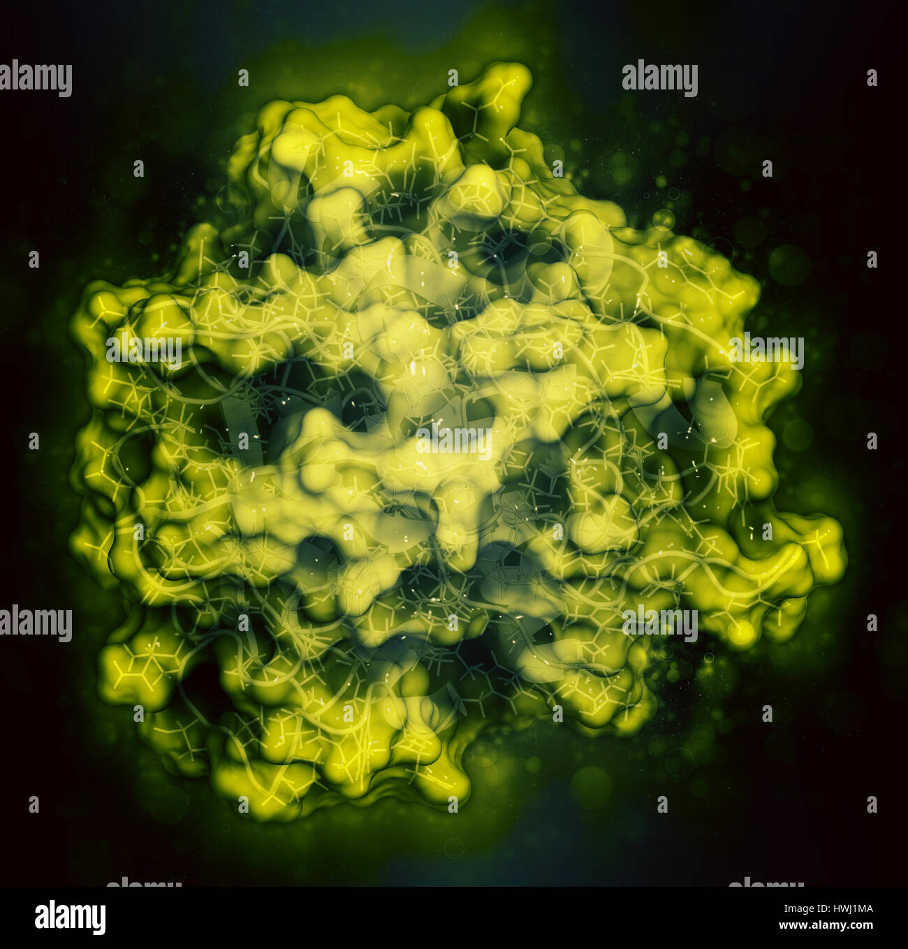 Nattokinase enzyme. Protein produced by Bacillus natto, present in the ...