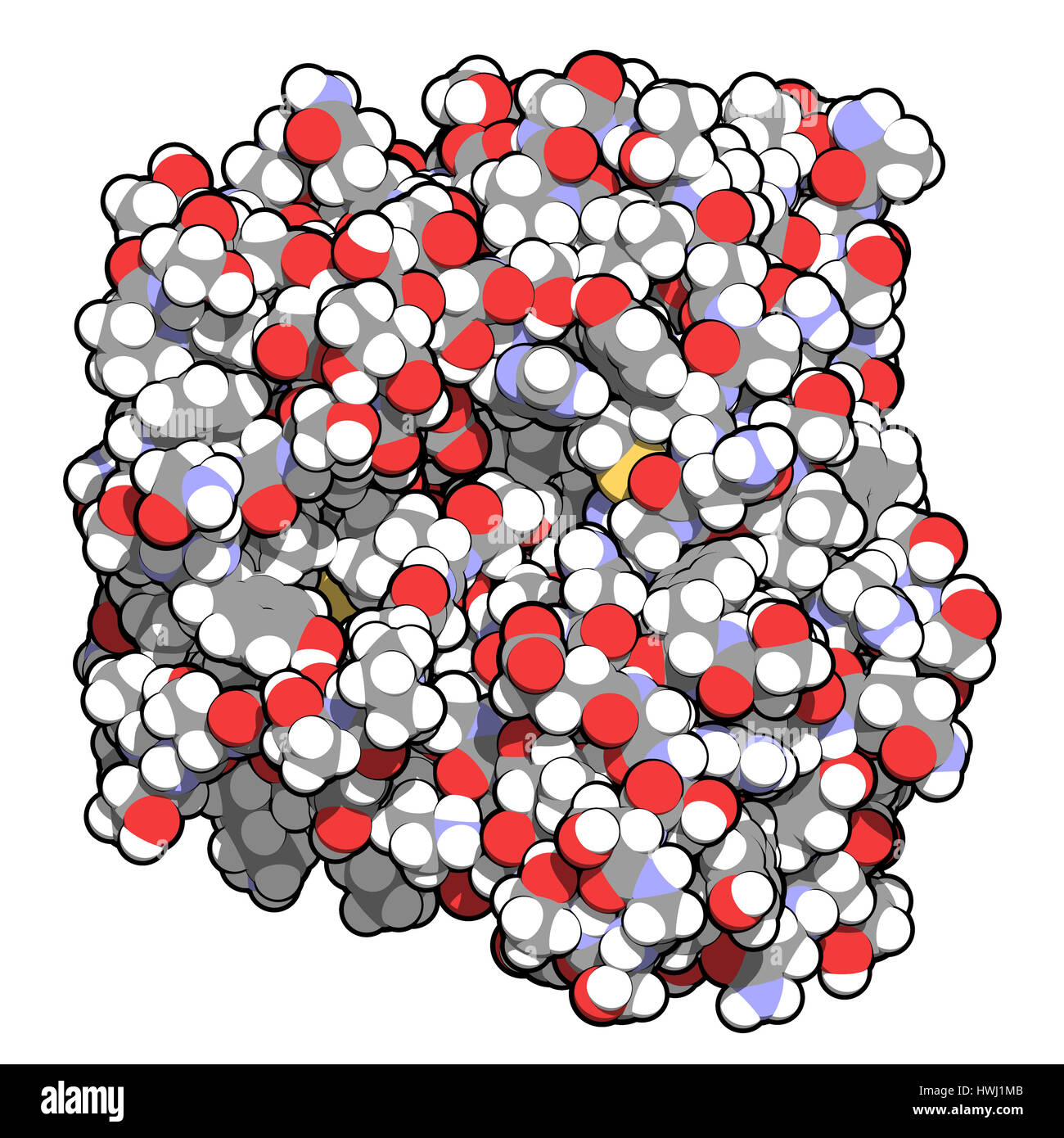 Nattokinase enzyme. Protein produced by Bacillus natto, present in the ...