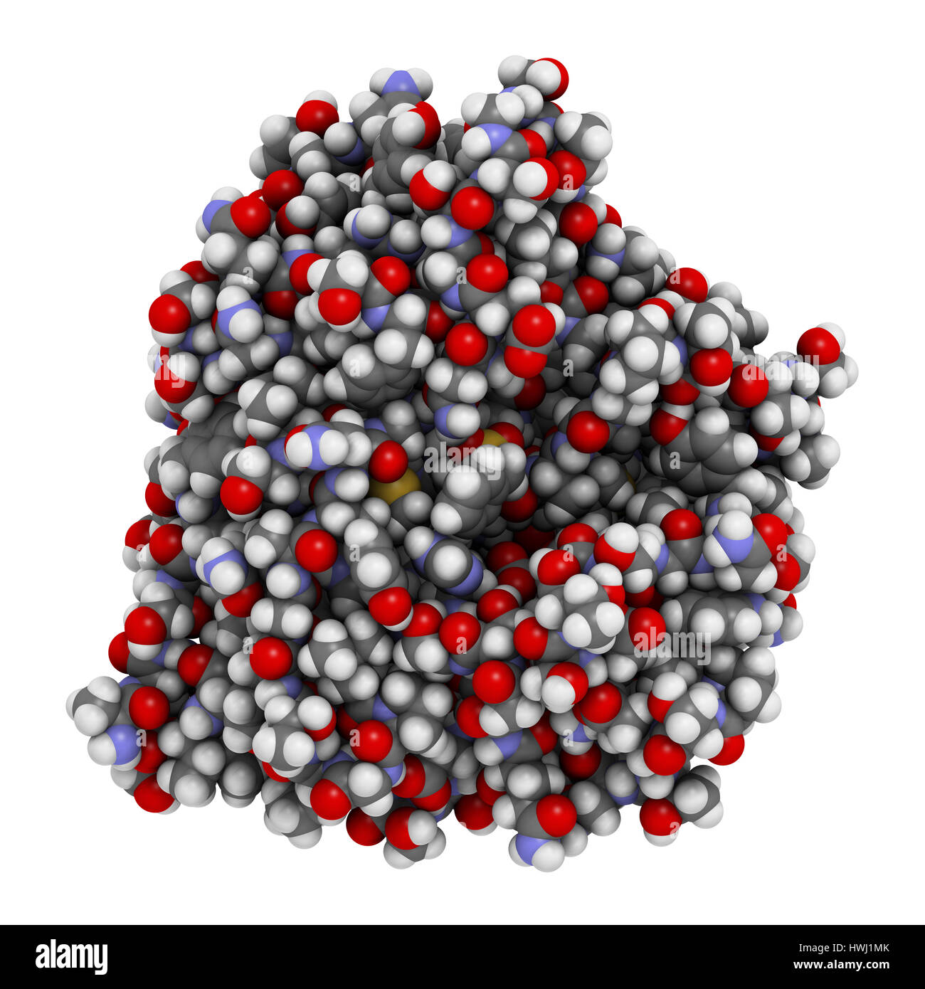 Nattokinase hi-res stock photography and images - Alamy