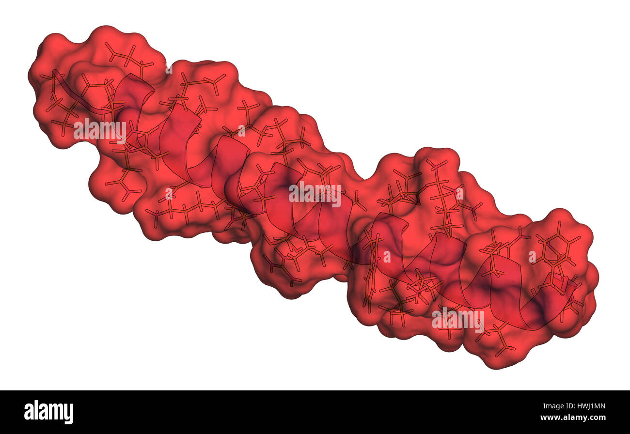 Parathyroid hi-res stock photography and images - Alamy