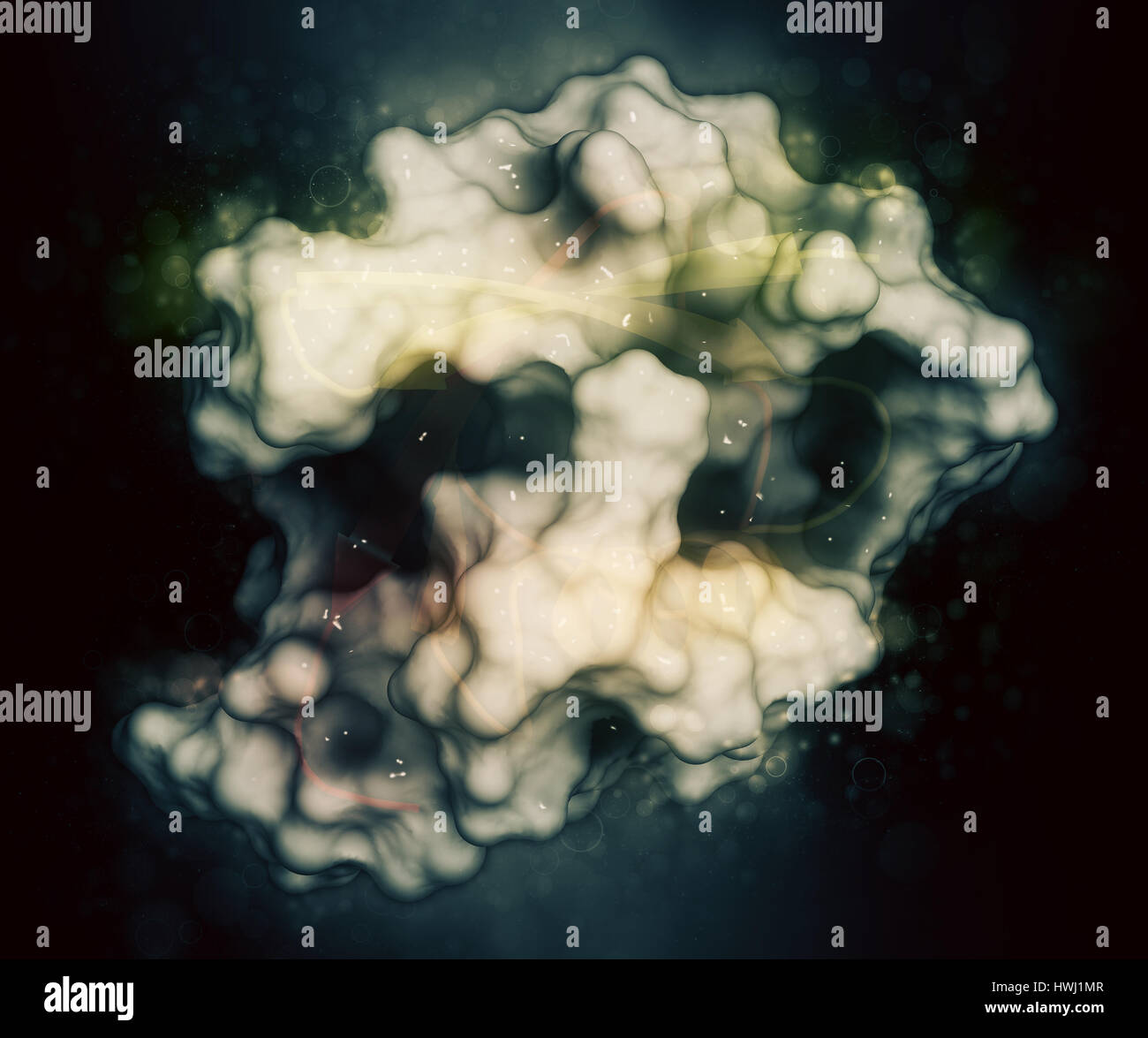 SUMO (Small Ubiquitin-like Modifier, SUMO-1) protein. Attachment of ...