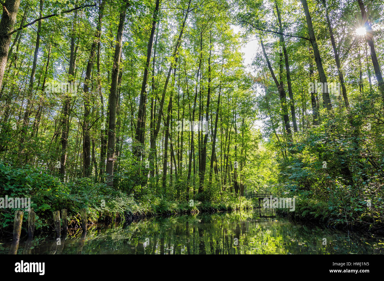 National park spreewald hi-res stock photography and images - Alamy